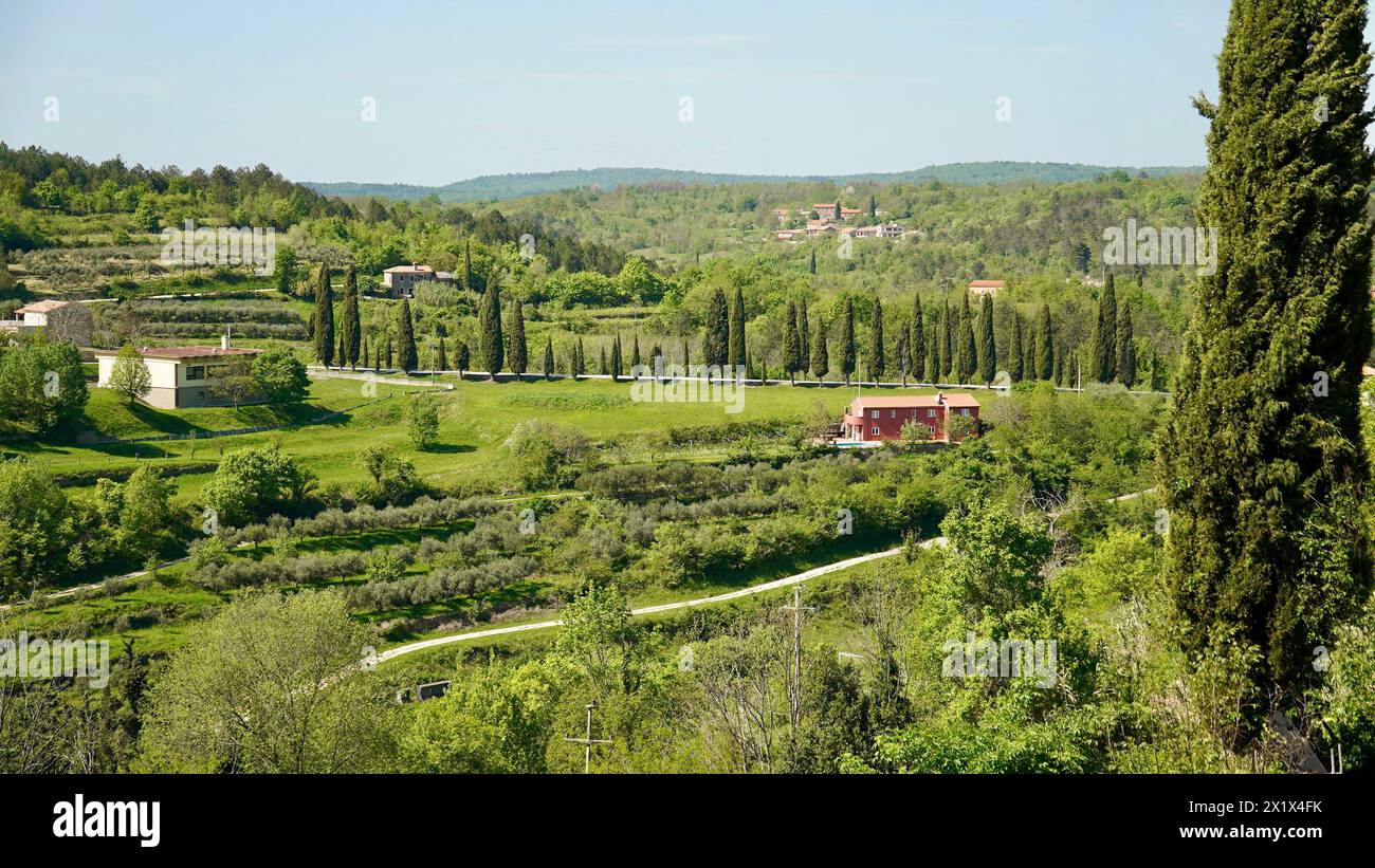 Landscape surrounding the medieval town of Oprtalj in the central ...