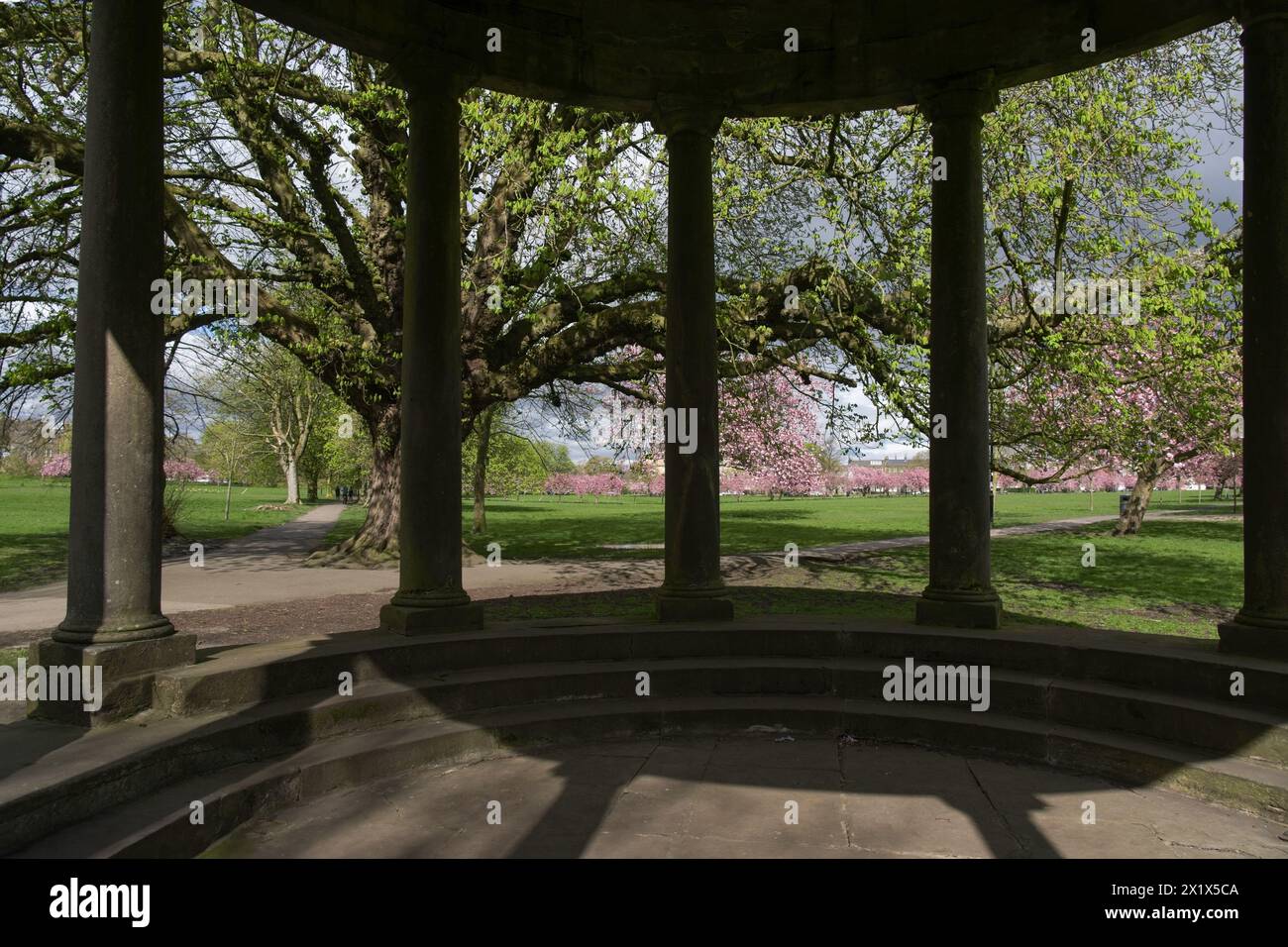 With breathtaking pink cherry blossoms in the distance, the Tewit Well ...