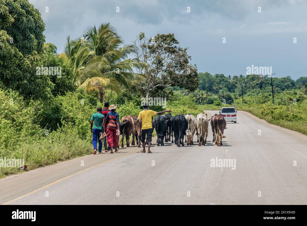 Zanzibar City, Tanzania. 30. 03. 2018. Street view of usual daily life ...