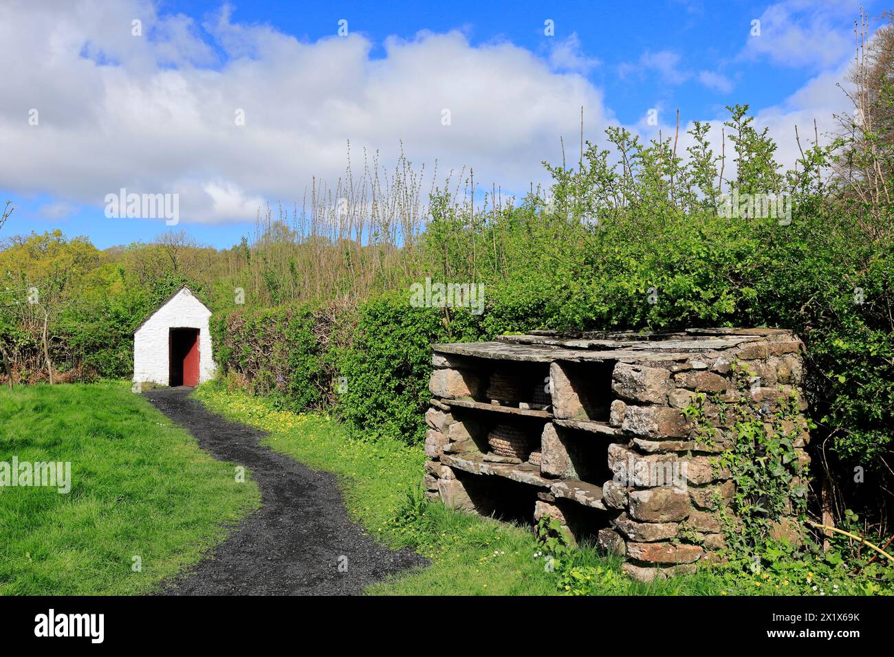 Cinder path leading to an outside lavatory (Ty Bach) at Kennixton ...