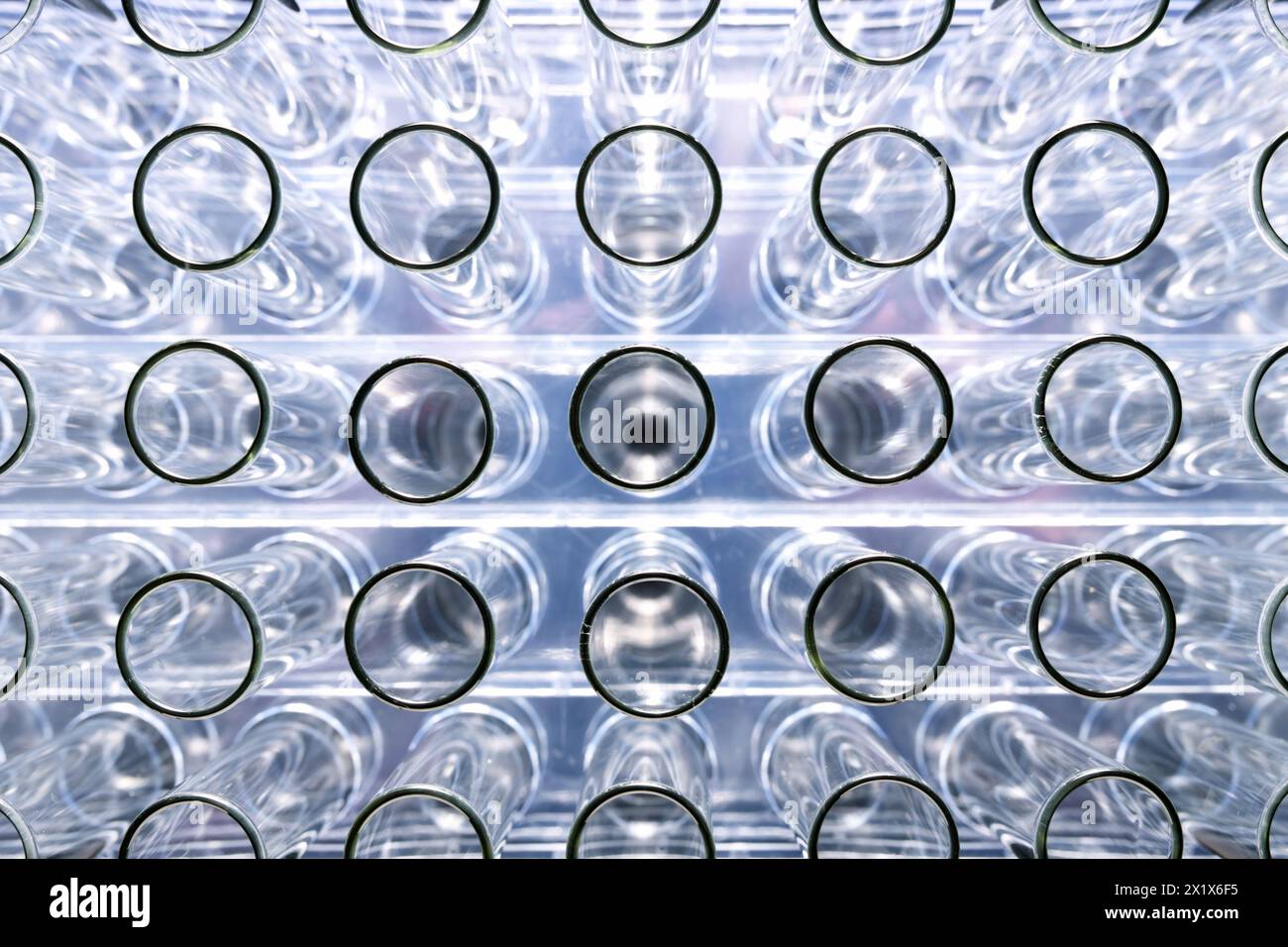 Close up of a group of empty glass test tubes standing in a laboratory ...