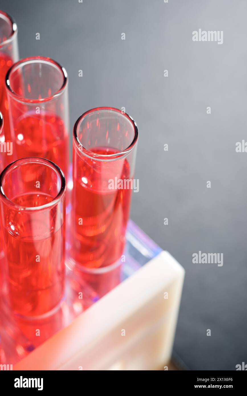 Close up of a group of glass test tubes standing in a laboratory rack ...