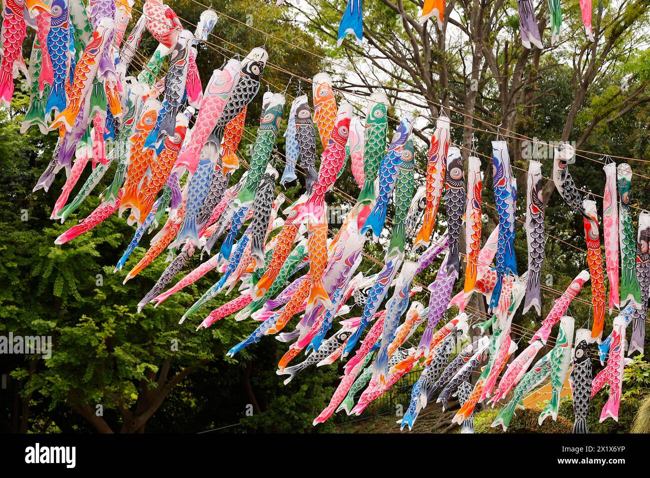 Tokyo, Japan. 18th Apr, 2024. Koinobori (carp banners) are on display ...