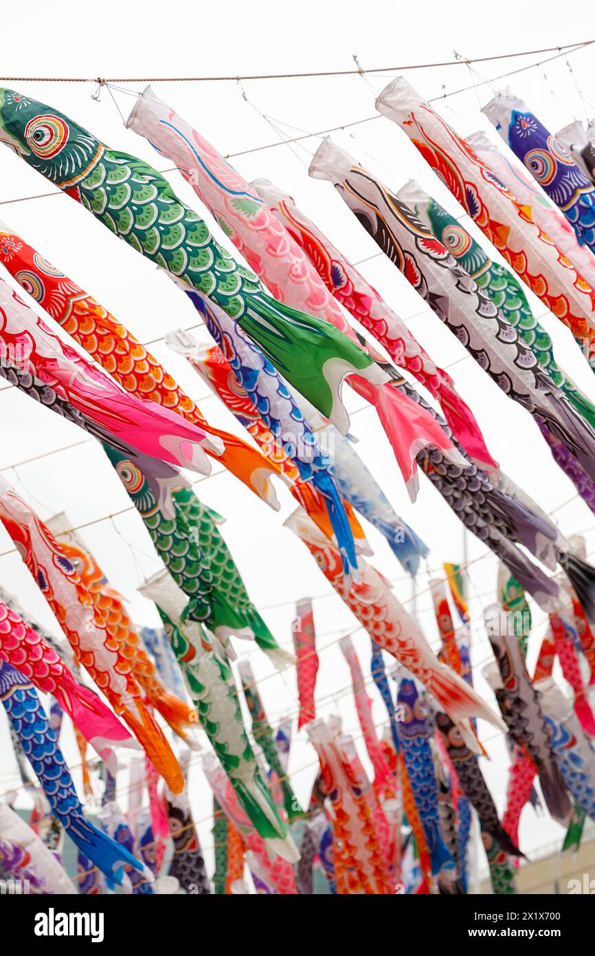 Tokyo, Japan. 18th Apr, 2024. Koinobori (carp banners) are on display ...