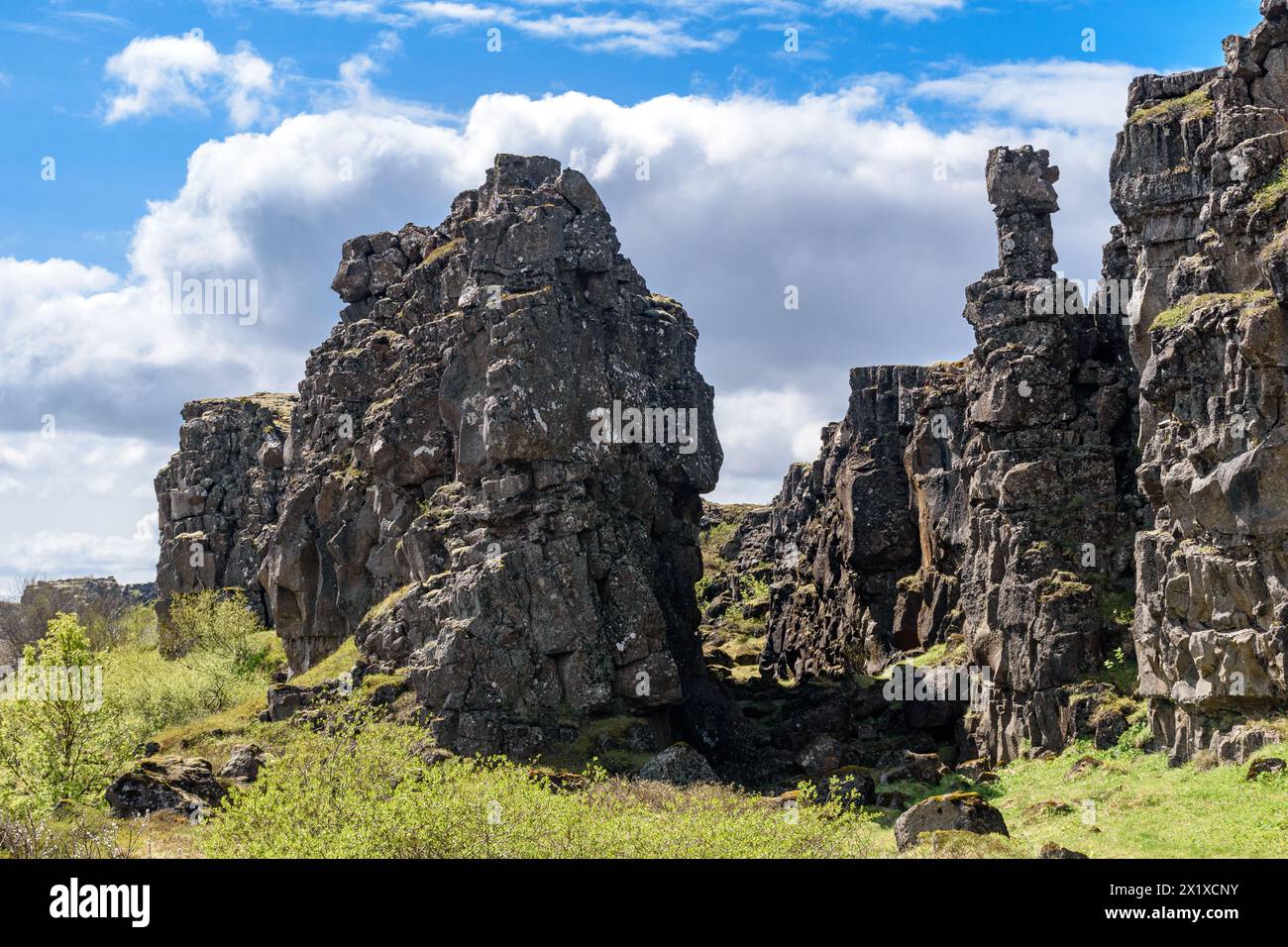View of the rift valley at the Thingvellir national park in Iceland ...