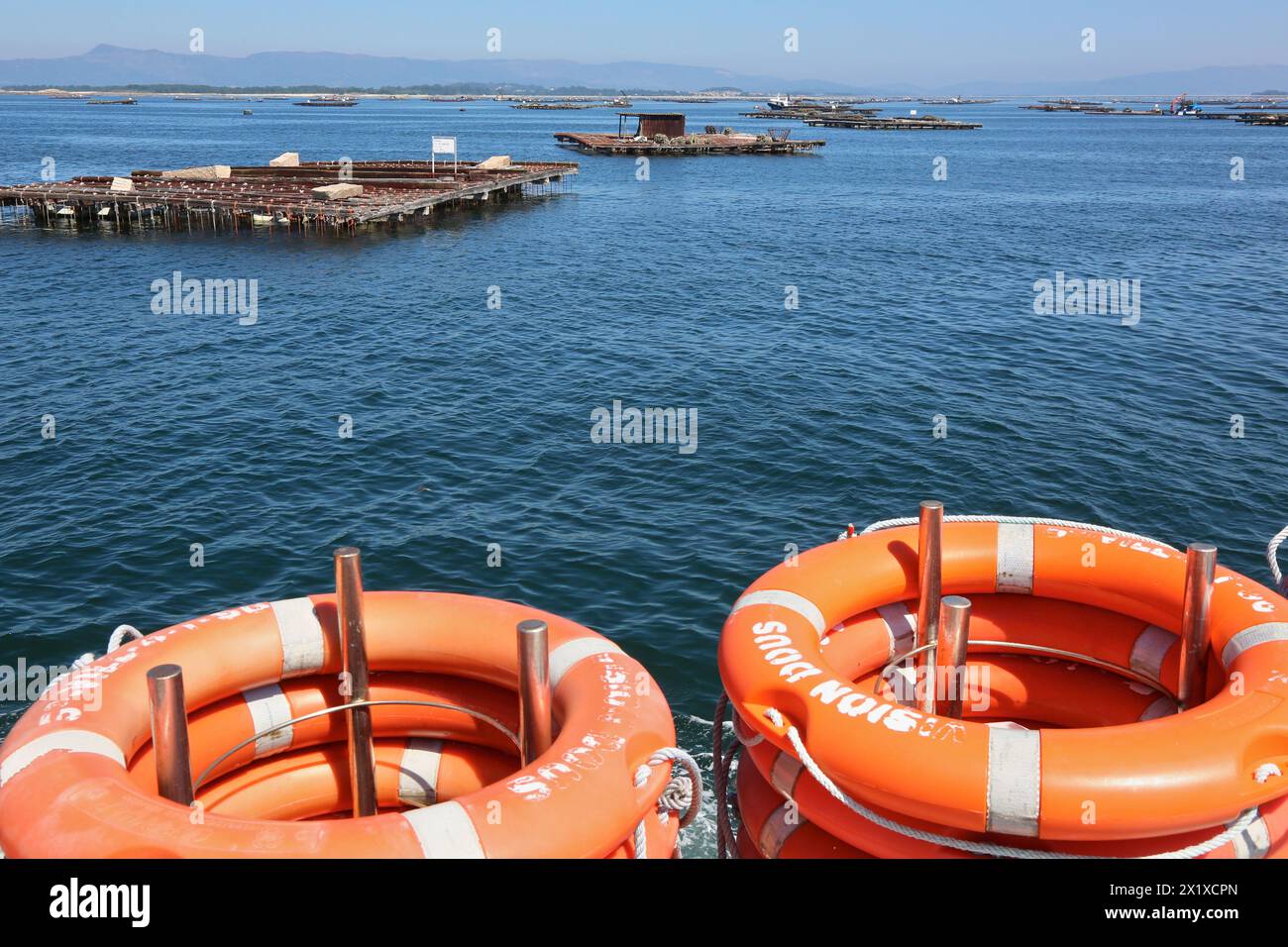 Catamaran sightseeing tour in the Ria de Arosa, visit semi-submerged ...
