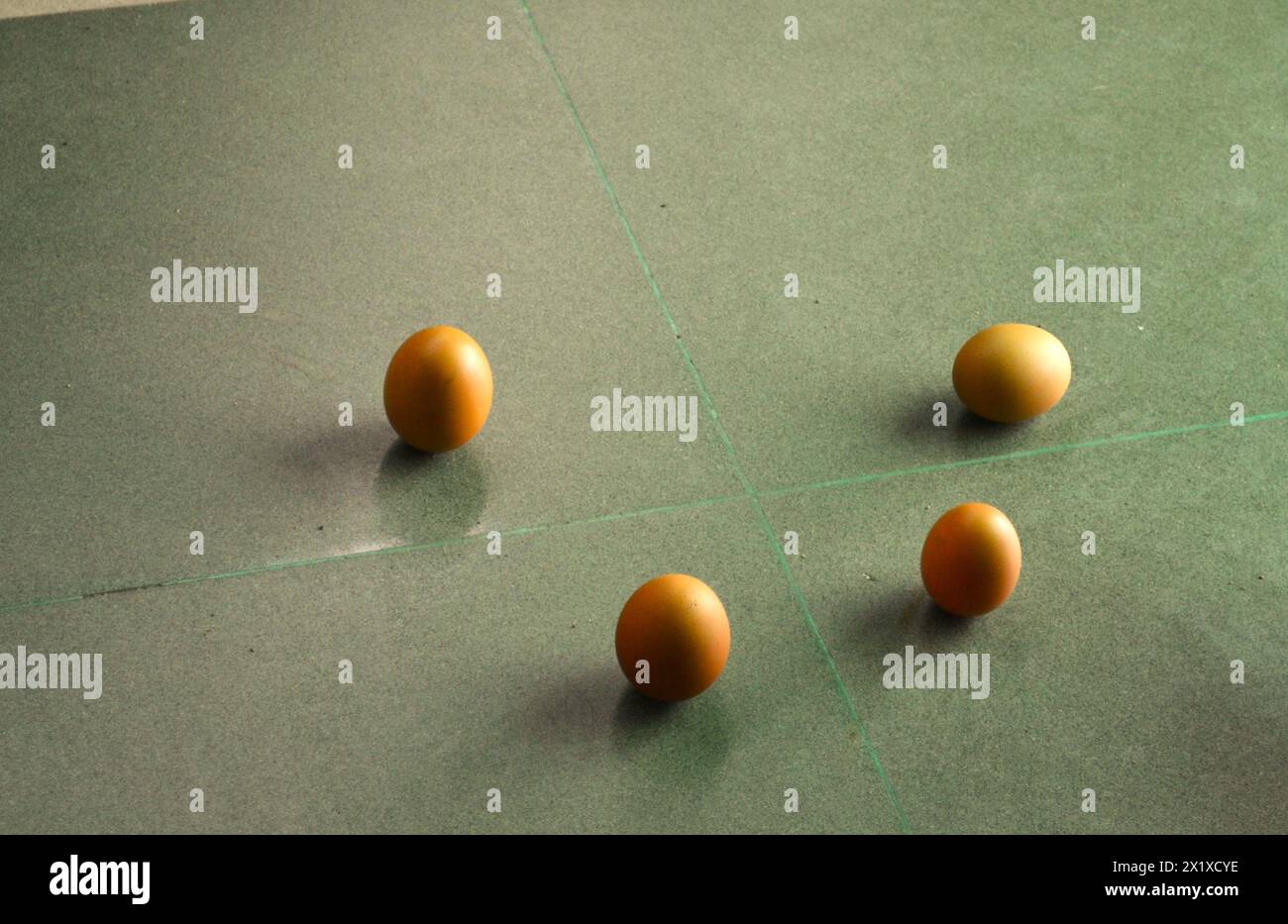 Three eggs were successfully positioned vertically while the other one ...