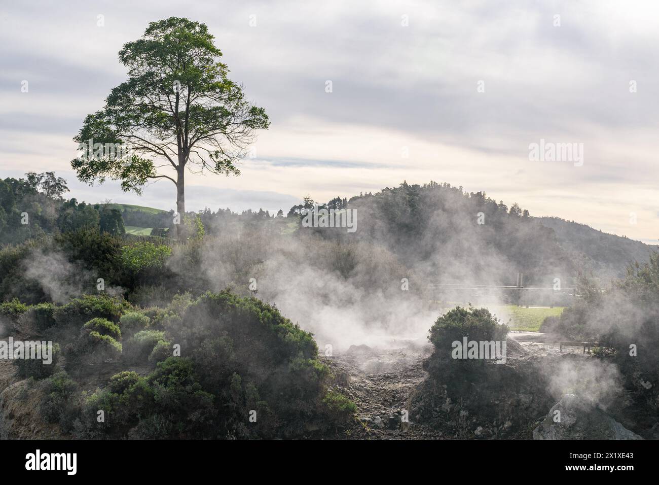 Steam from hot springs at the shore of Furnas lake in Sao Miguel island ...