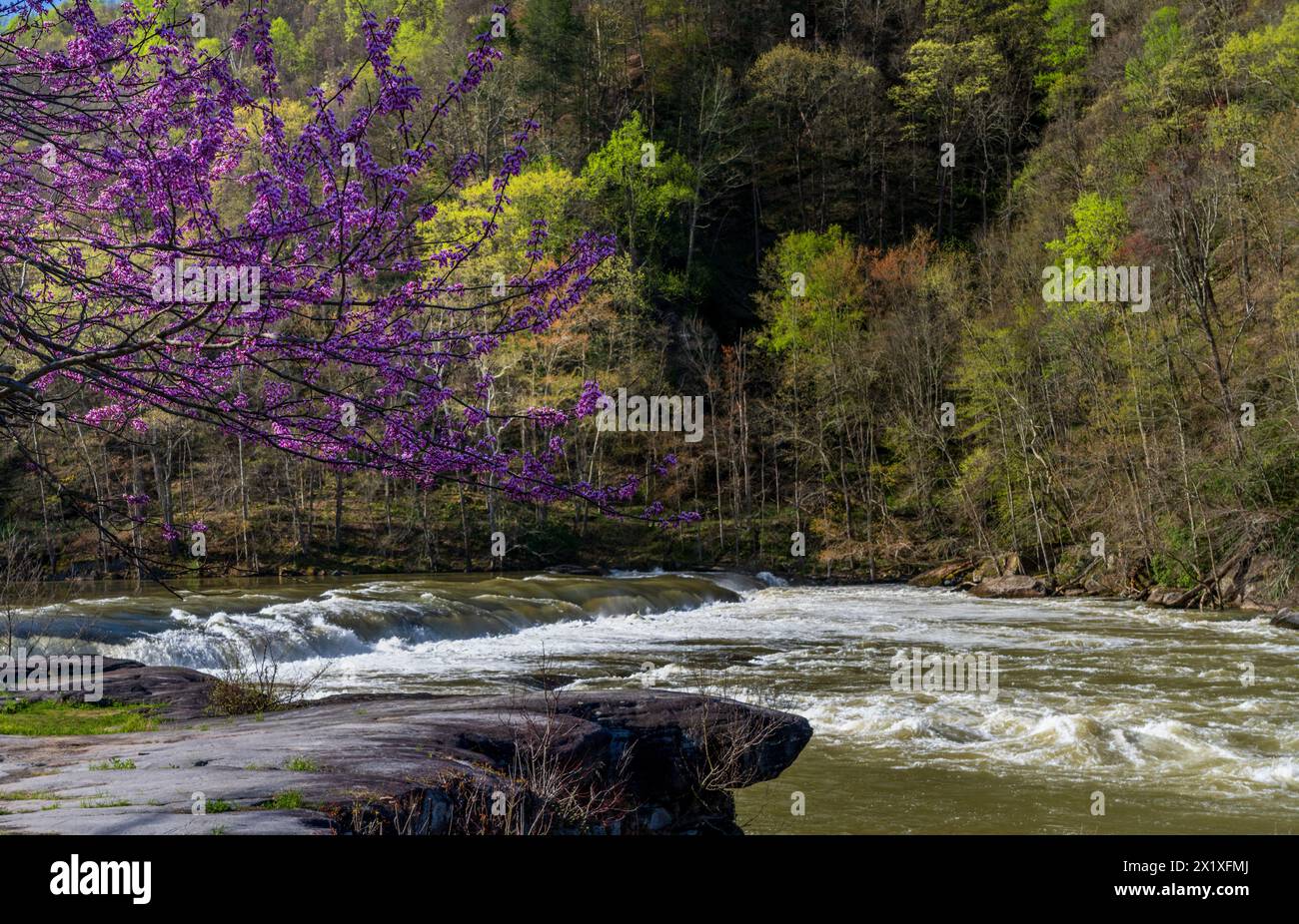 Valley Falls State Park near Fairmont in West Virginia on a colorful ...