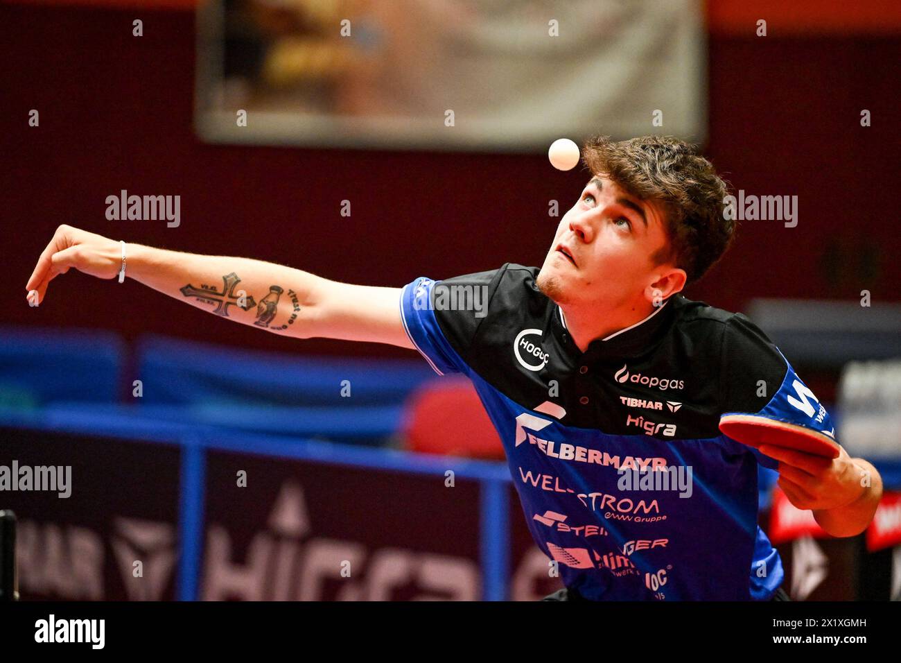 Tischtennis bundesliga herren hi-res stock photography and images - Alamy