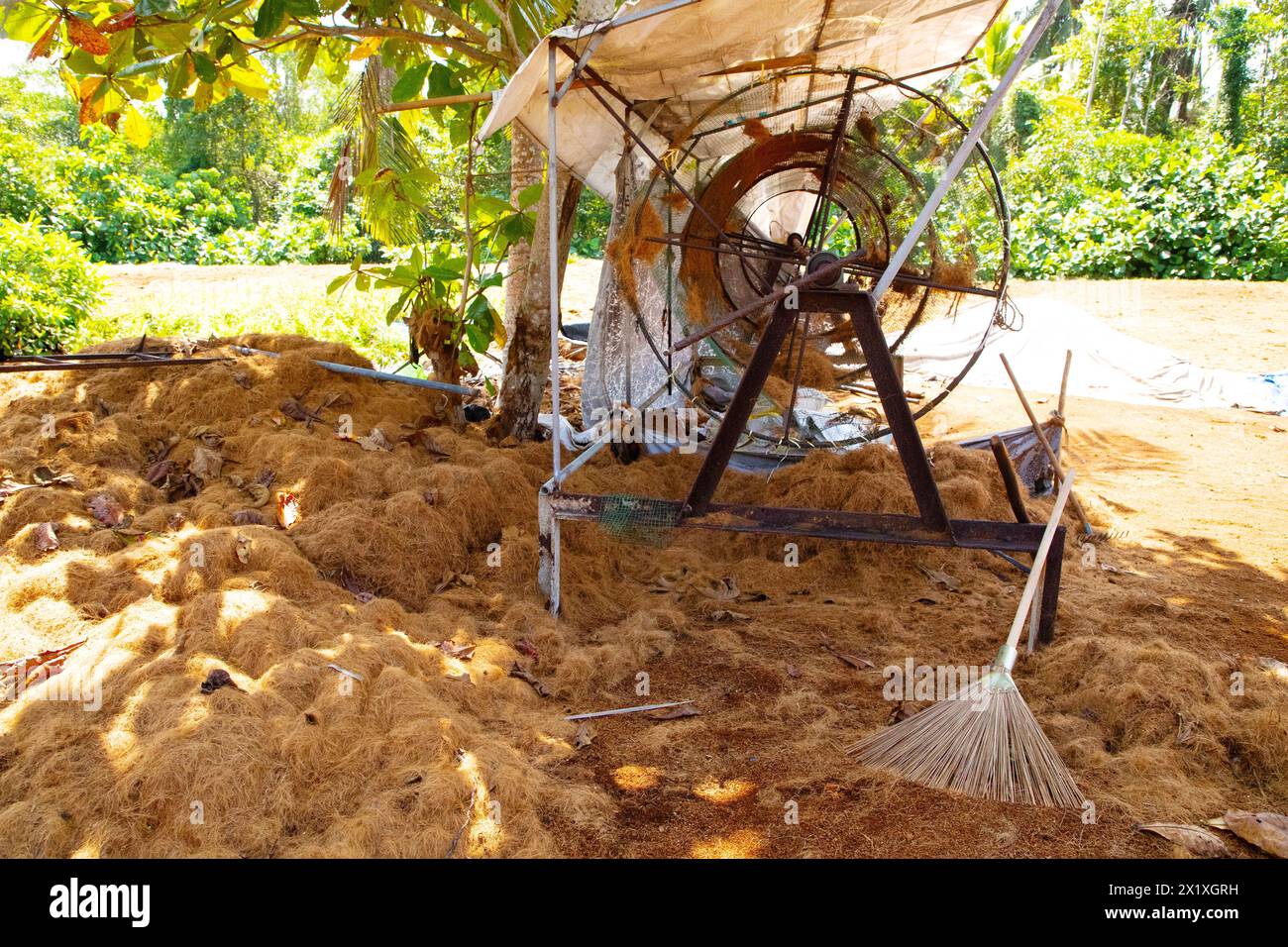 Kalutara, Sri Lanka 09 february 2023.Three stages of coconut coir rope ...