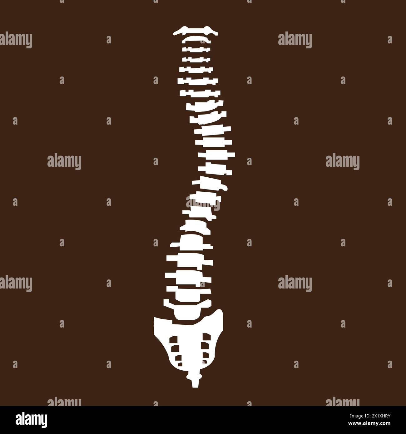 Spine icon,vector illustration logo template Stock Vector Image & Art ...