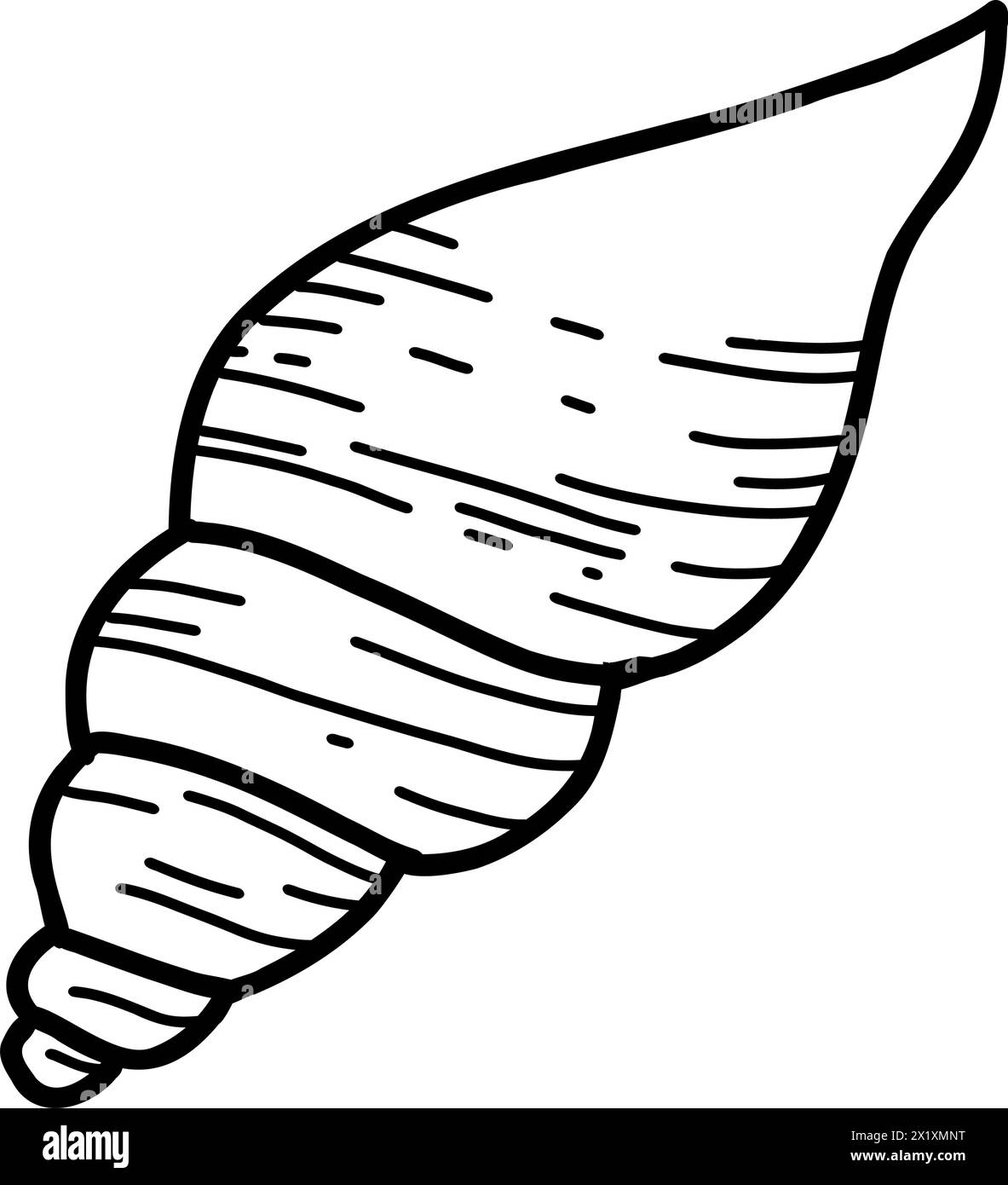 Hand drawn sea shell vector illustration. Sketch isolated on white ...