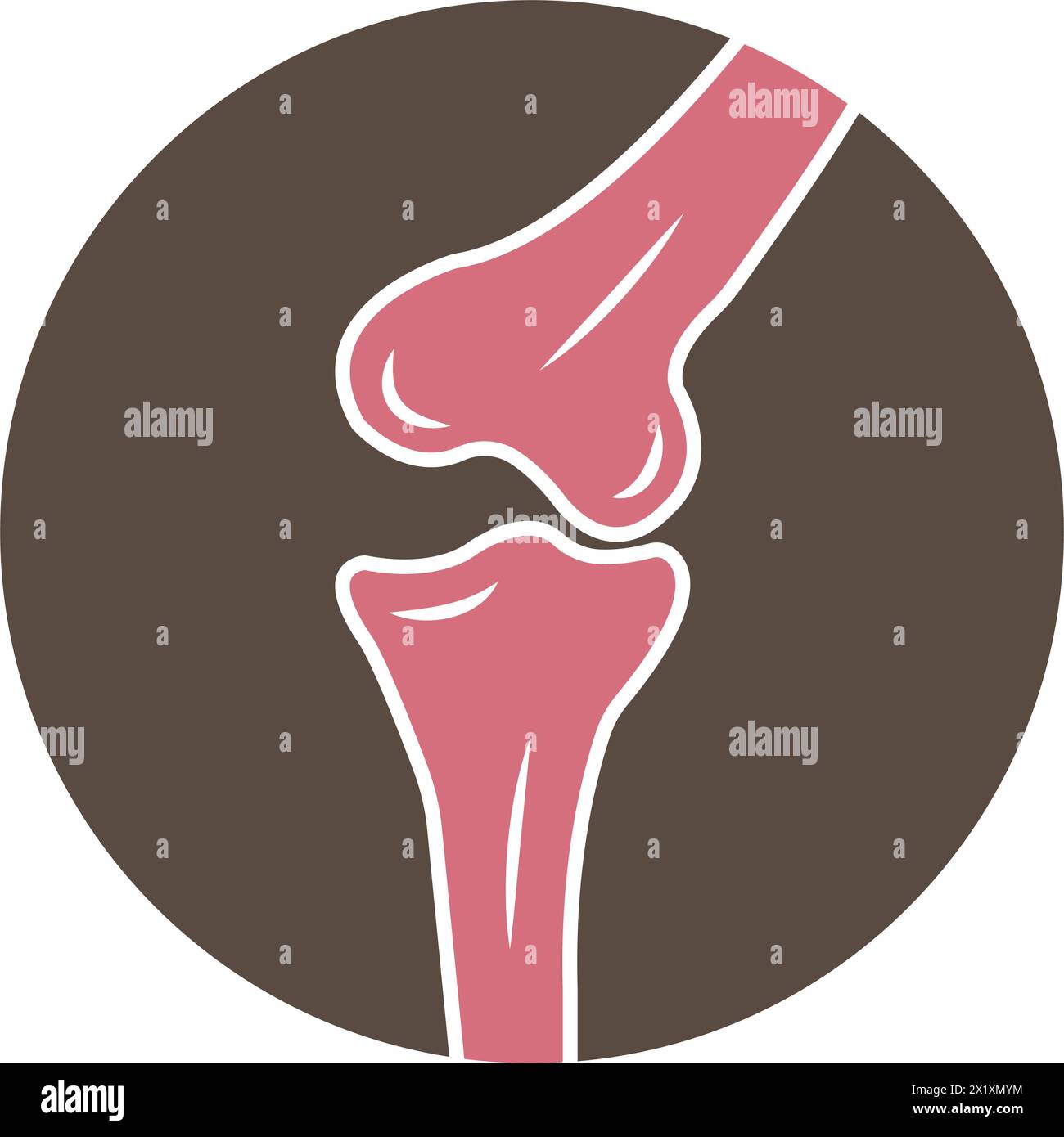 Bone joints icon vector illustration symbol design Stock Vector Image ...