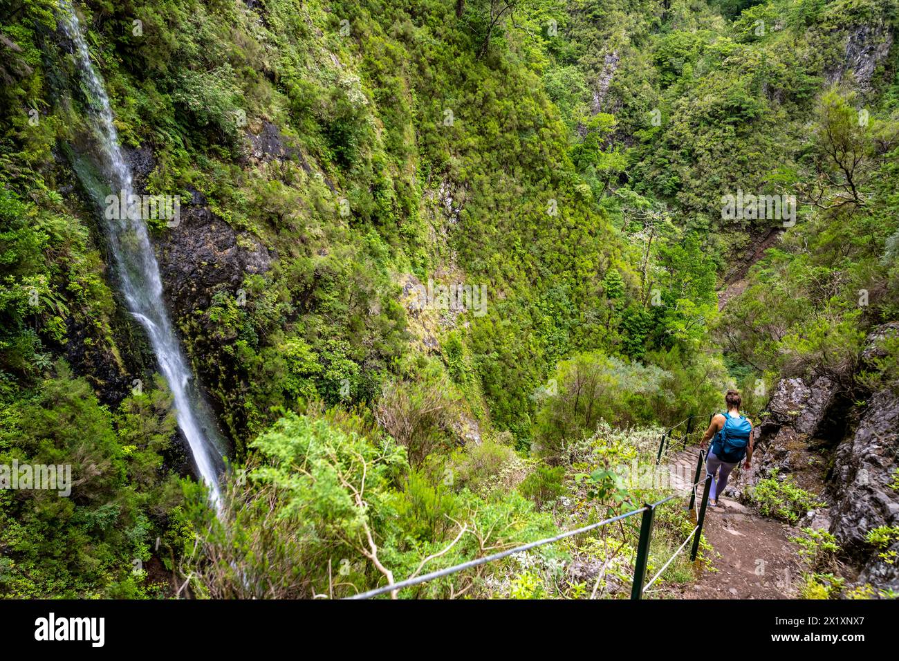 Description: Female backpacker tourist enjoys view of overgrown ...
