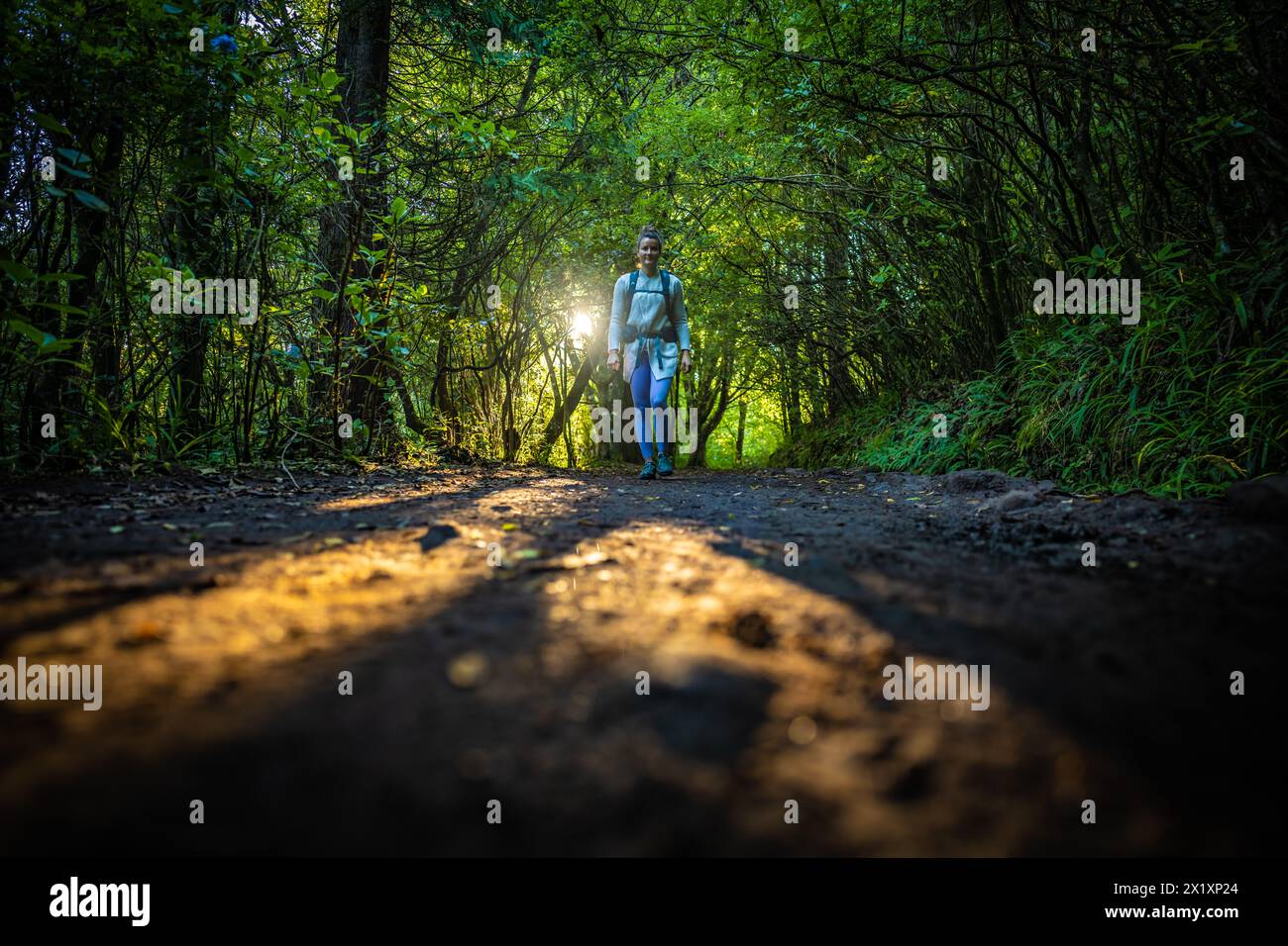 Description: Female toursit enjoys walking along sunny hike trail ...