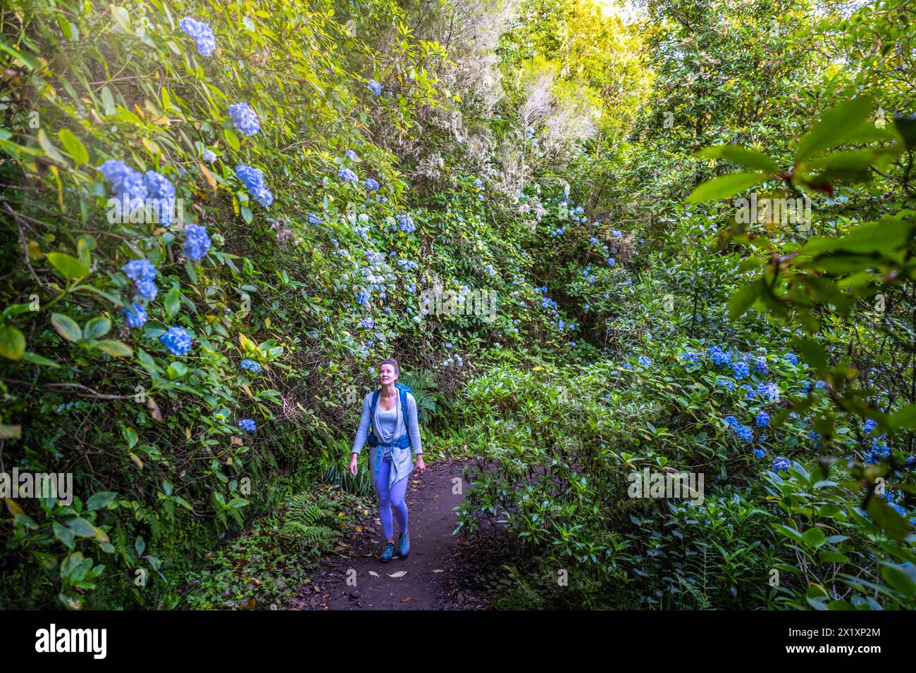 Description: Female toursit enjoys walking along green rainforst hike ...