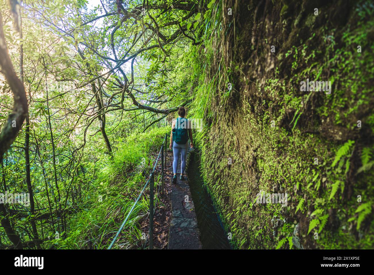 Description: Female toursit hiking along green rainforst hike trail ...