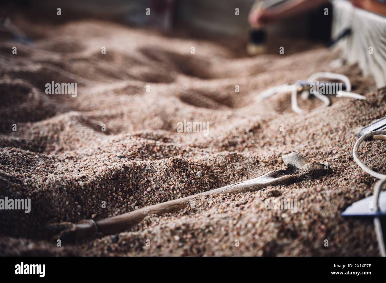 Child brushing away sand at a dinosaur fossil dig exhibit Stock Photo ...
