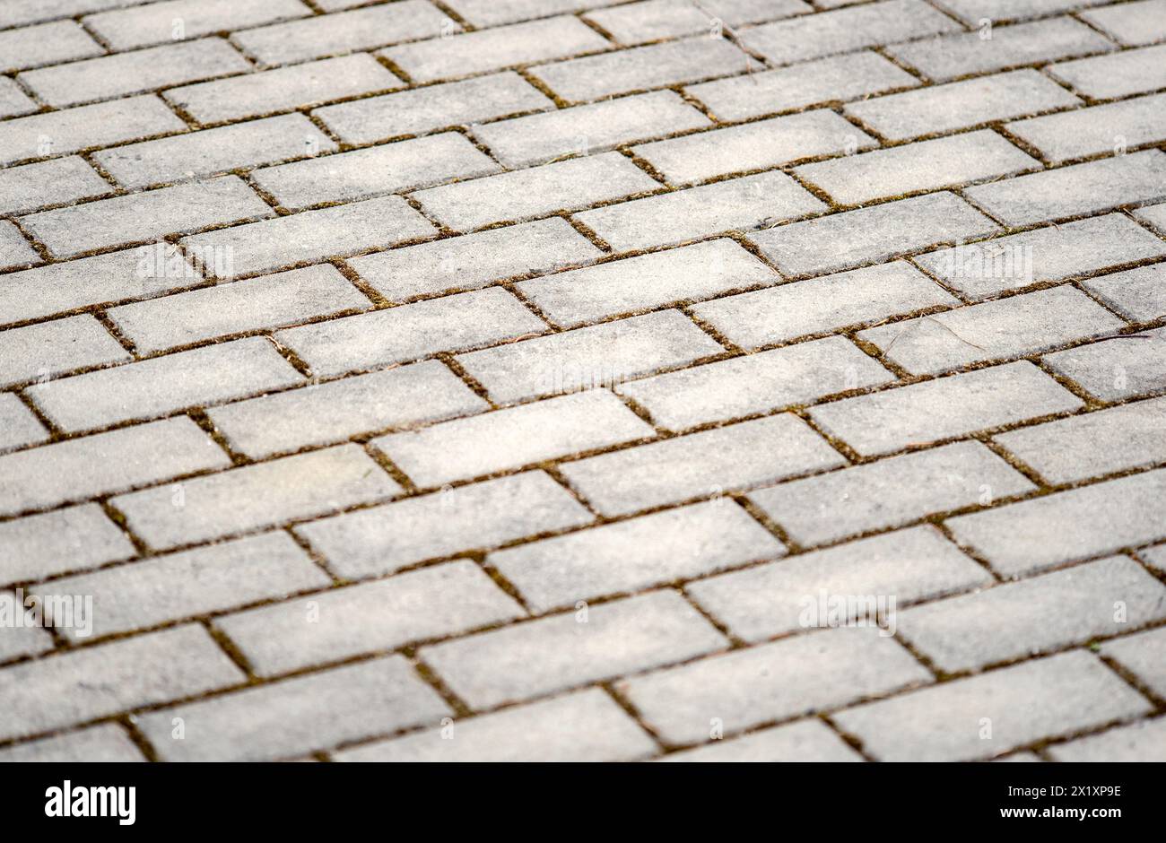 Detailed view of the pattern and texture of worn grey paving bricks ...