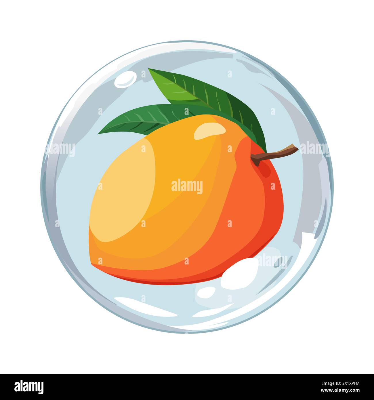 Healthy orange mango in air bubble. Isolated vector illustration on ...