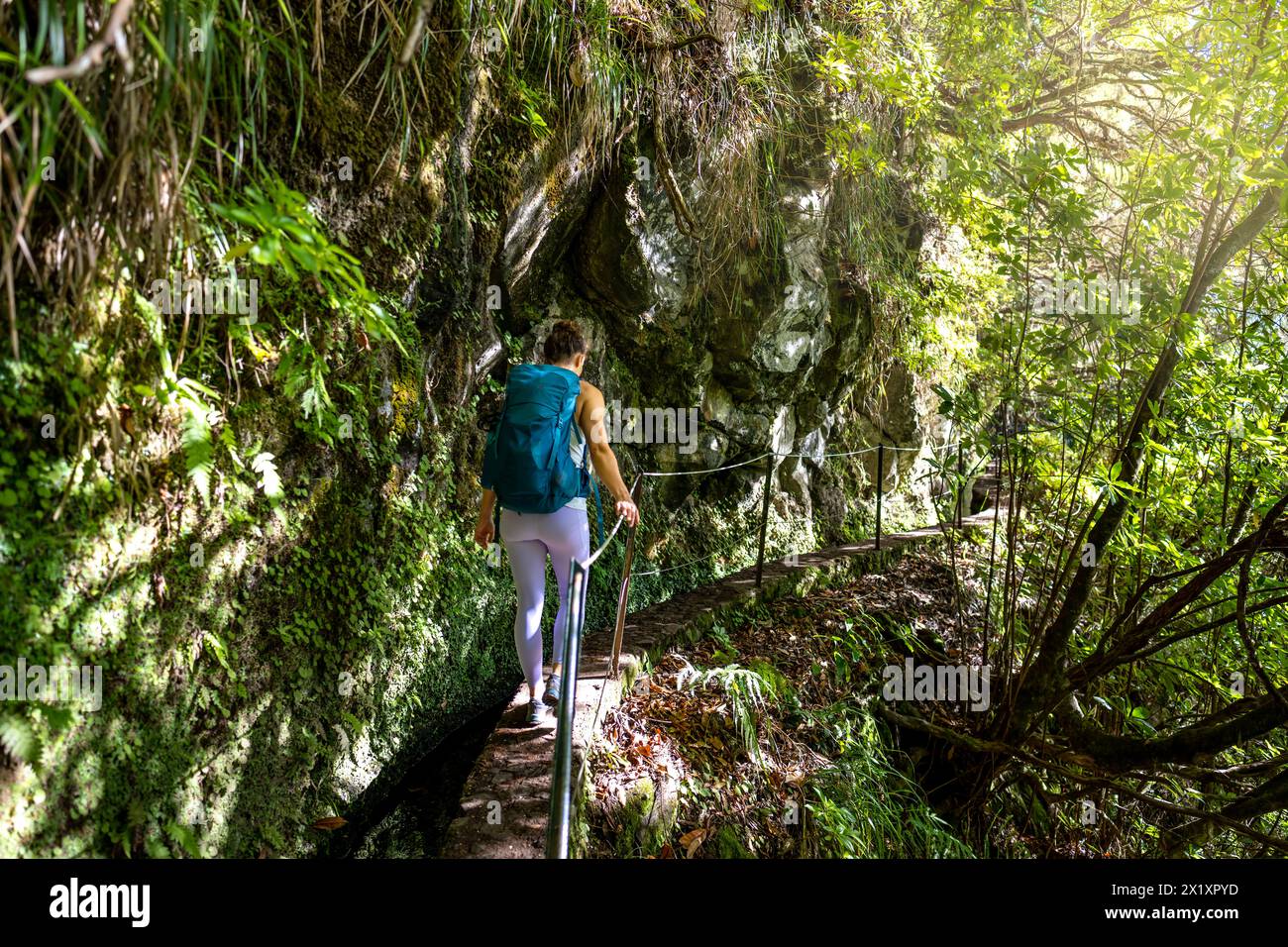 Description: Backpacker toursit walking along sunny rainforst water ...