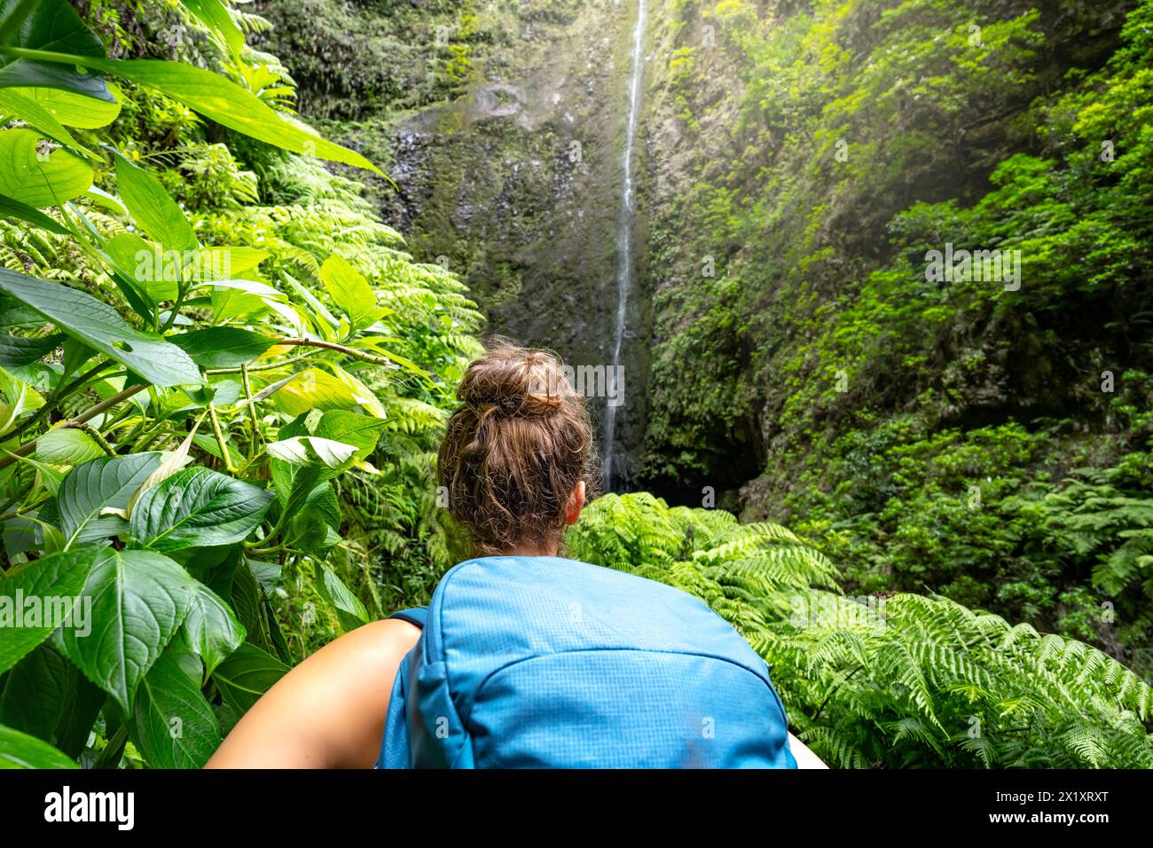Description: Backpacker toursit looking at a scenic waterfall overgrown ...