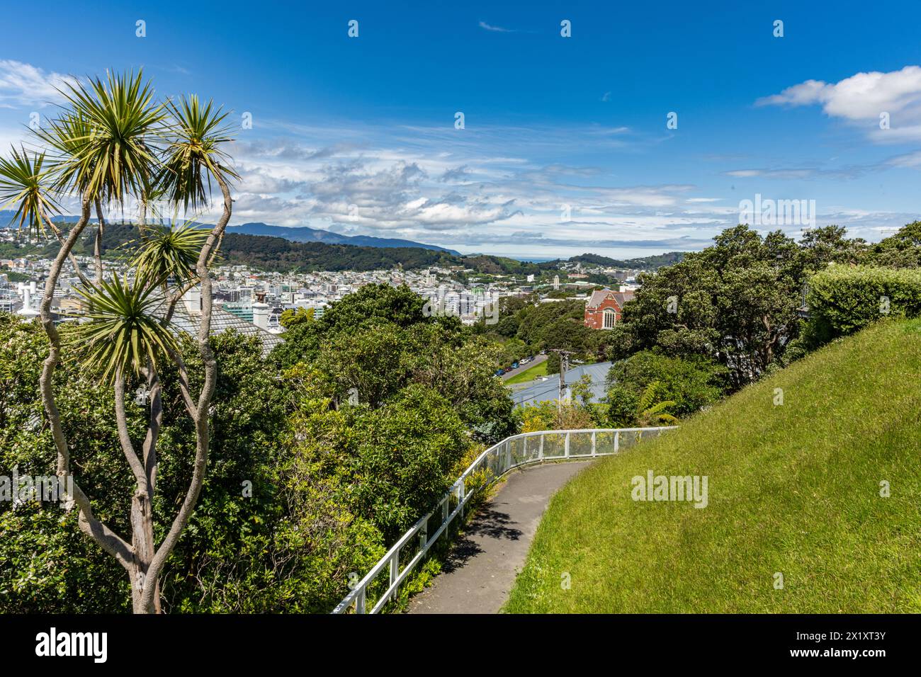 Lush vegetation growing around pathway hi-res stock photography and ...