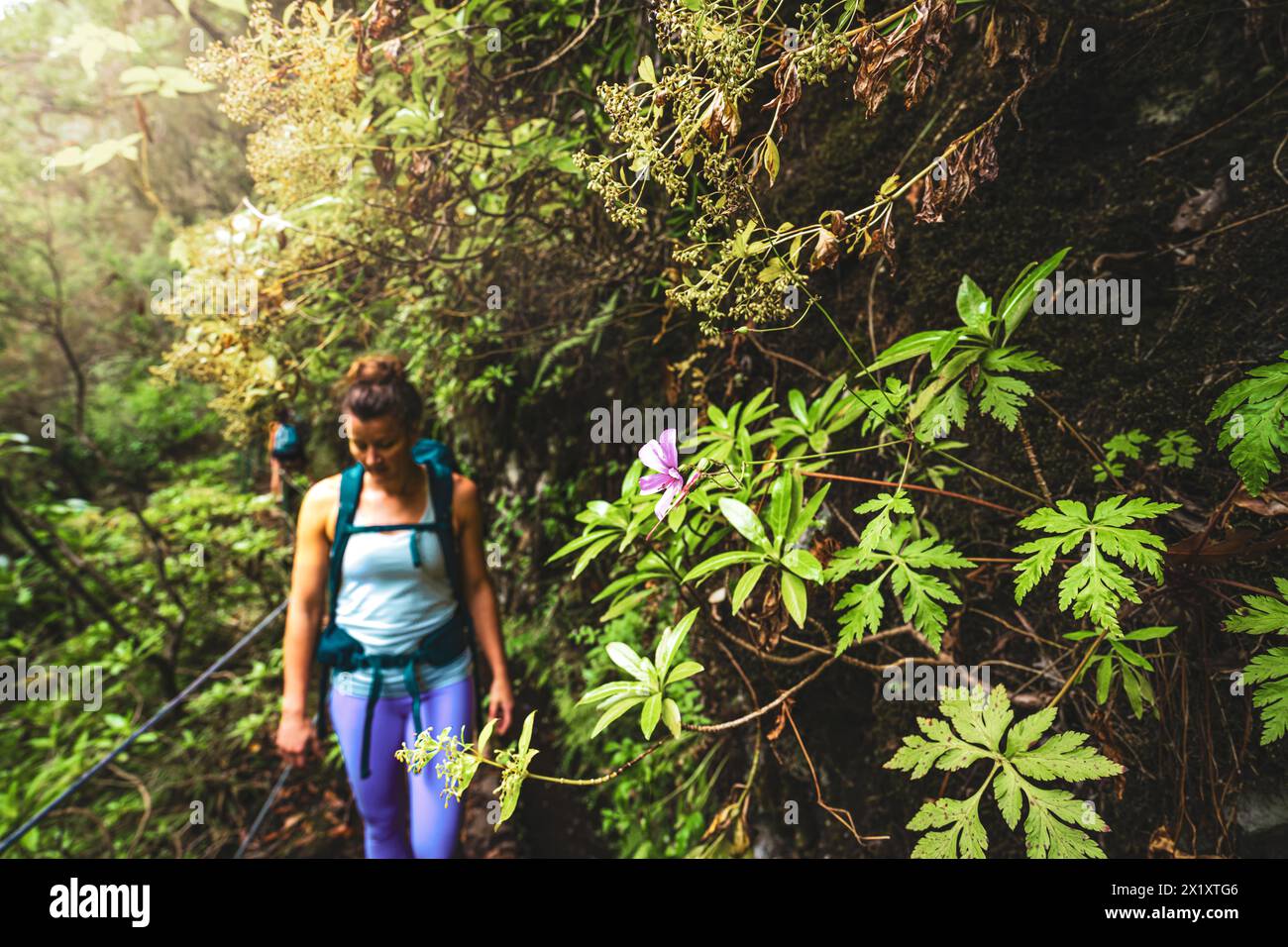 Description: Backpacker tourist walks along picturesque hike trail ...