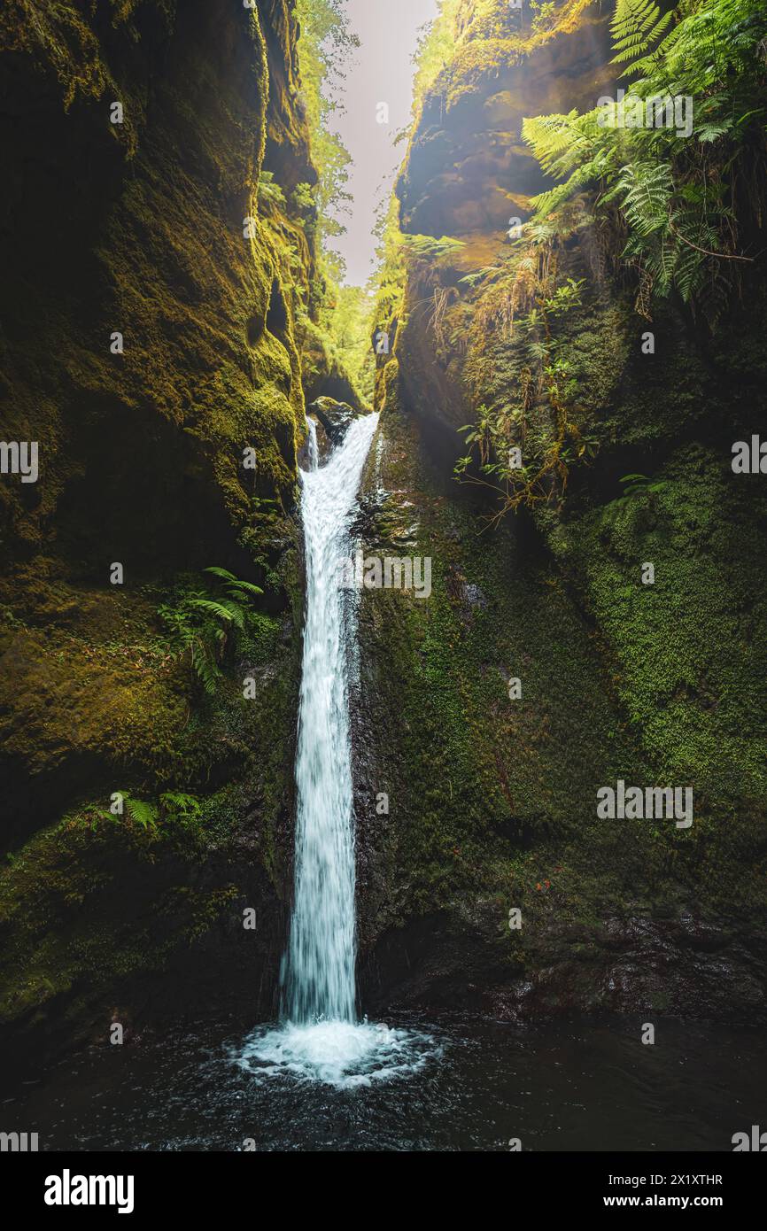 Description: Scenery of a picturesque waterfall overgrown with plants ...