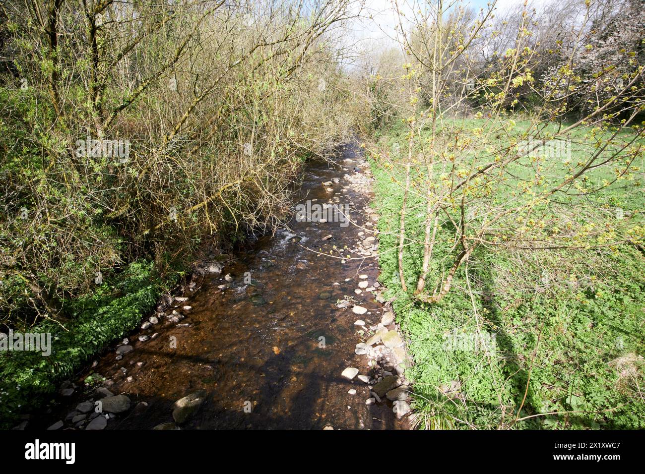 colin river through colin glen forest park west belfast northern ...