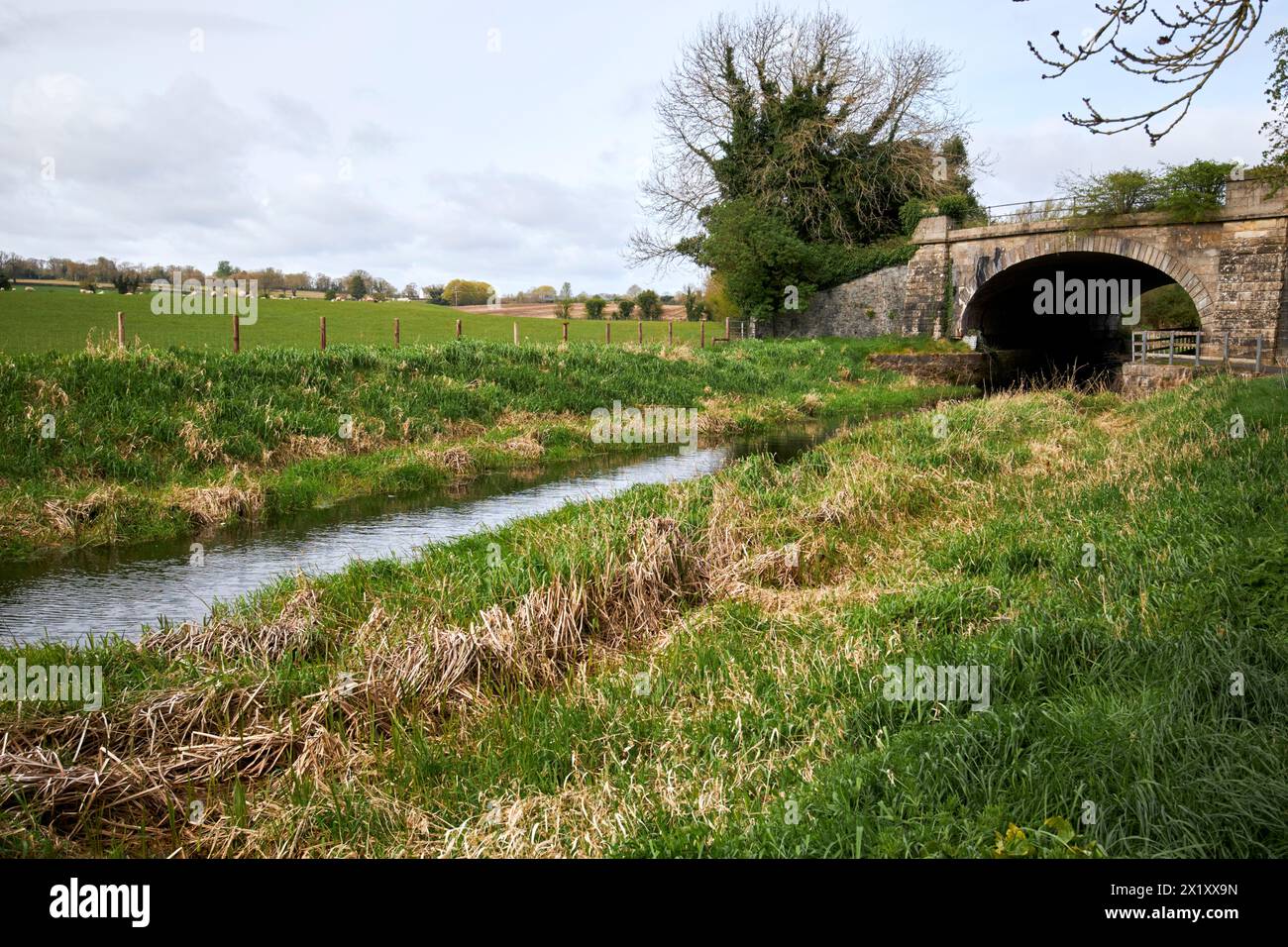 section of the lagan canal between broadwater and moira county down ...