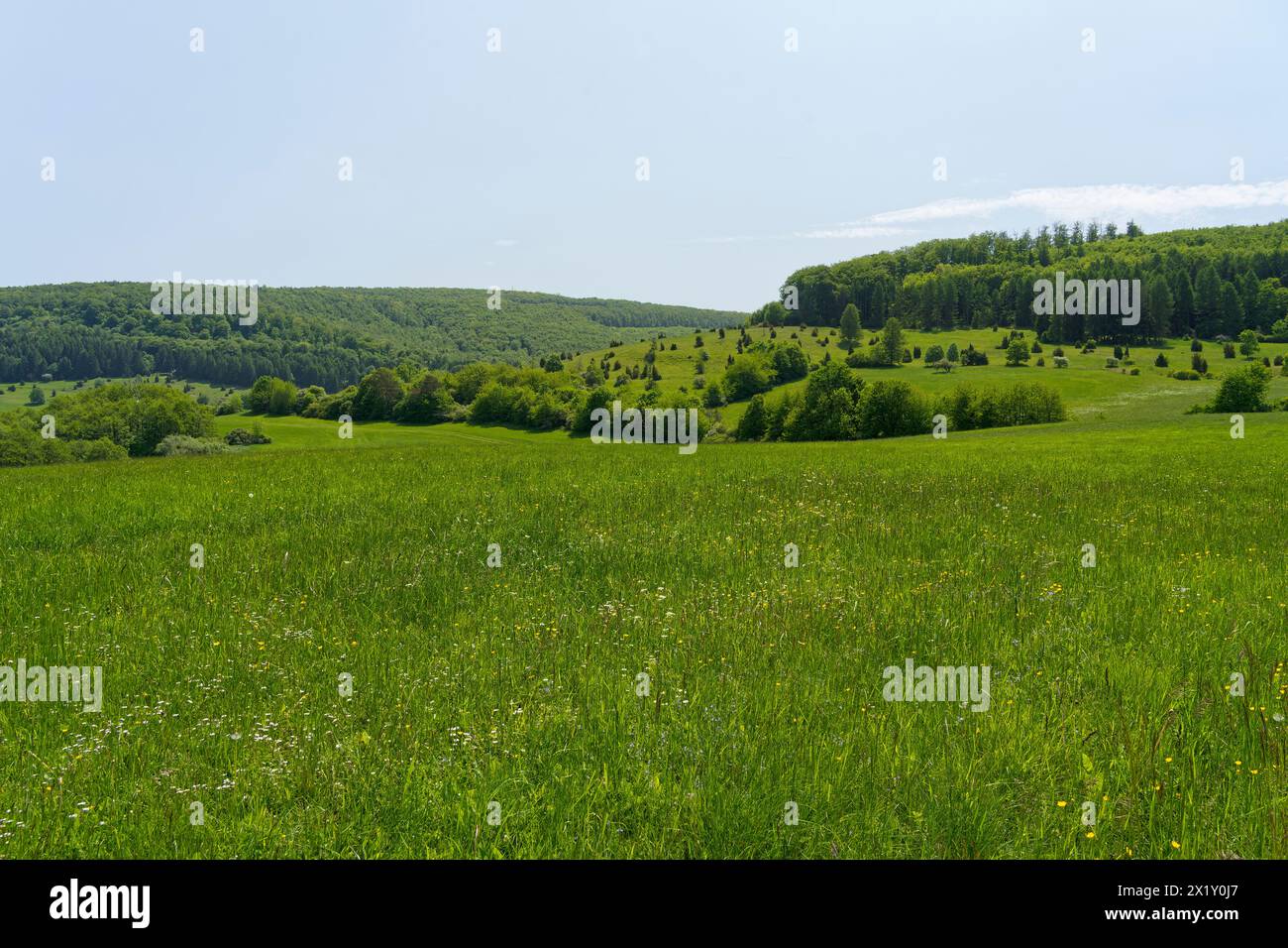 Landscape in the Wiesenthal Switzerland nature reserve, Rhön Biosphere ...