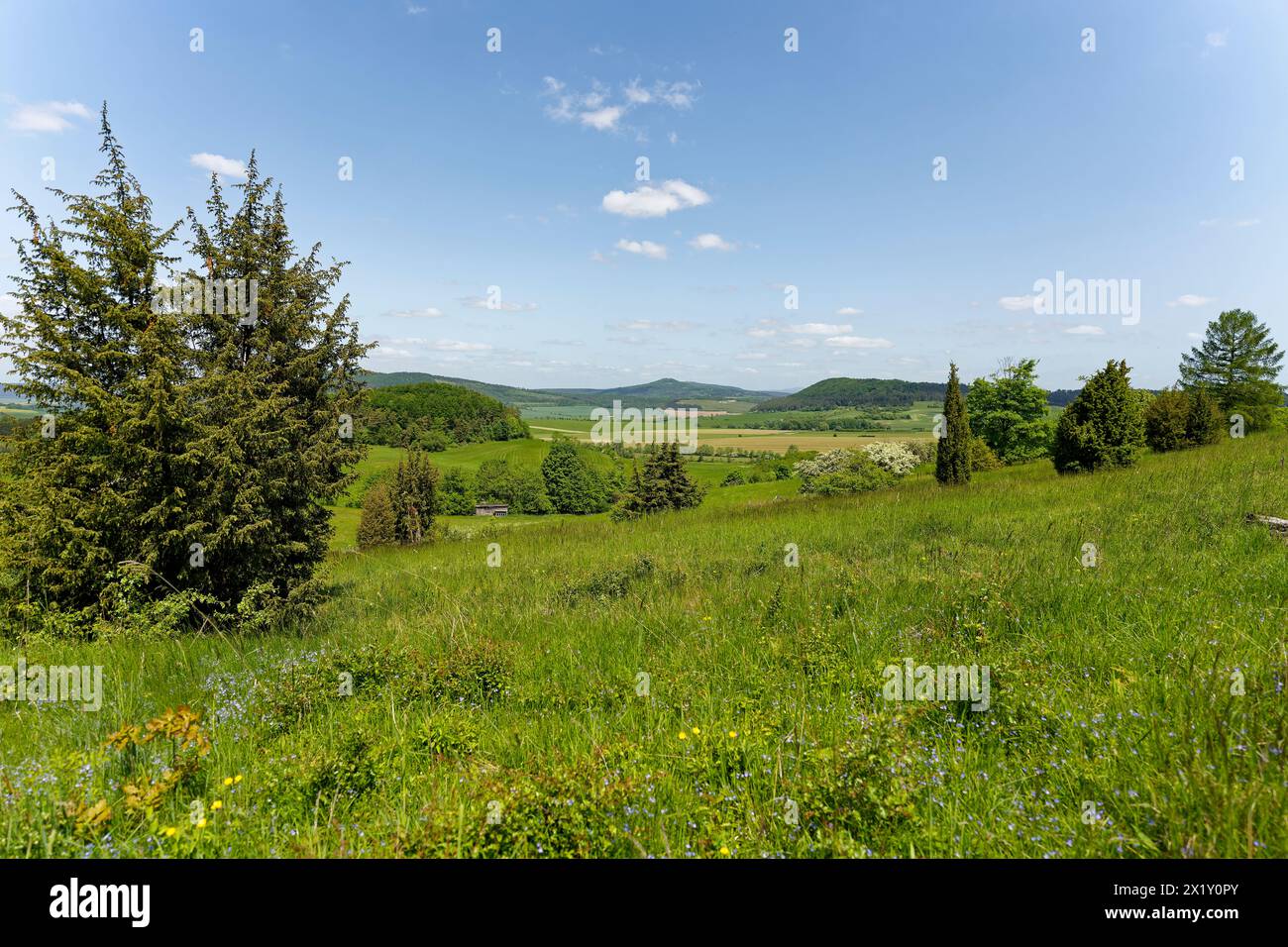 Landscape in the Wiesenthal Switzerland nature reserve, Rhön Biosphere ...