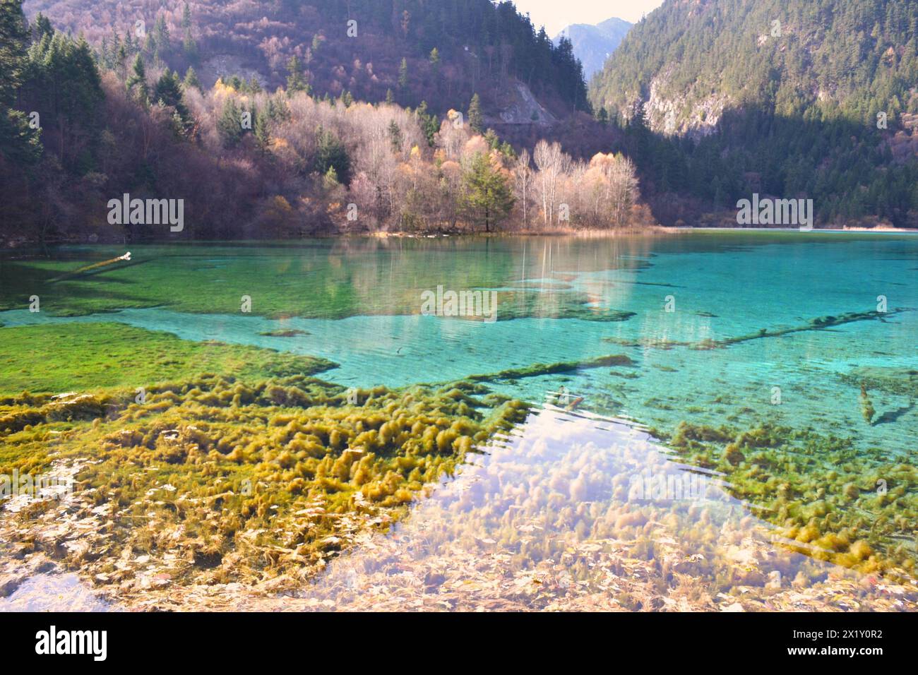 The charming lake in Jiuzhaigou National Park Stock Photo - Alamy
