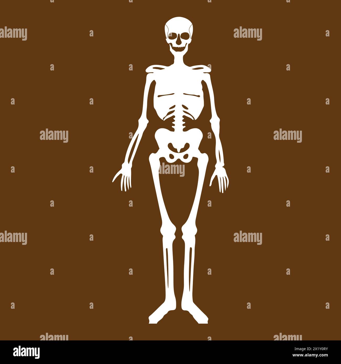 Human skeleton icon vector illustration symbol design Stock Vector ...