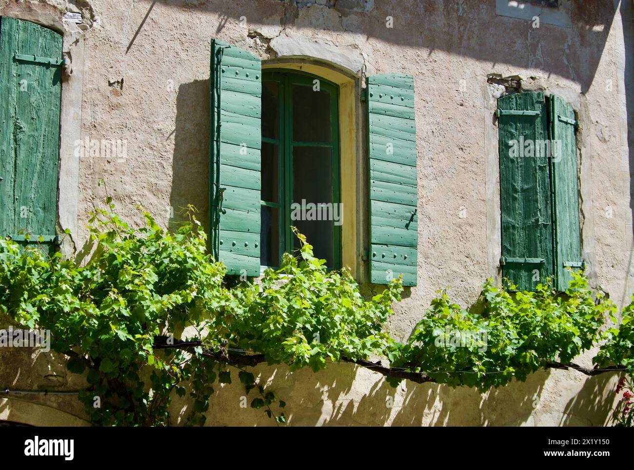 Old stone building with windows and green wooden shutters behind lush ...