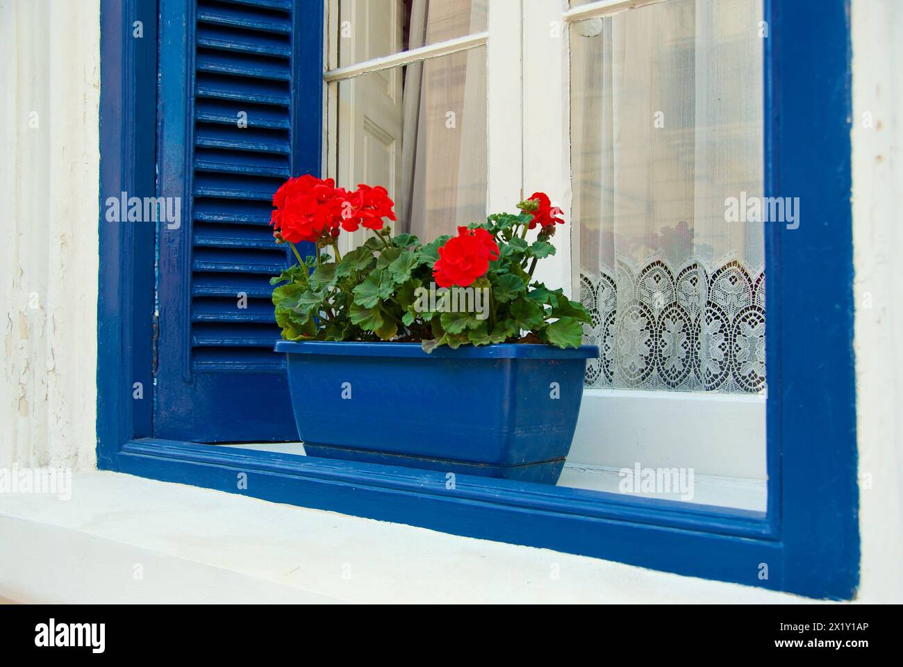 Window sill with blue frames and shutters and a blue flowerbox with red ...
