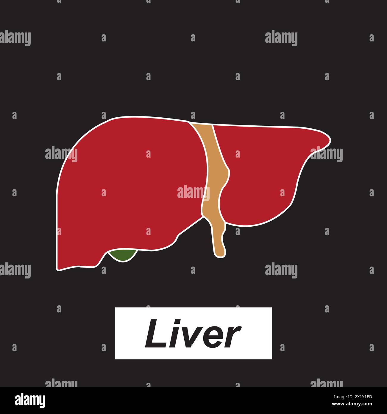 Liver icon vector illustration simple design Stock Vector Image & Art - Alamy