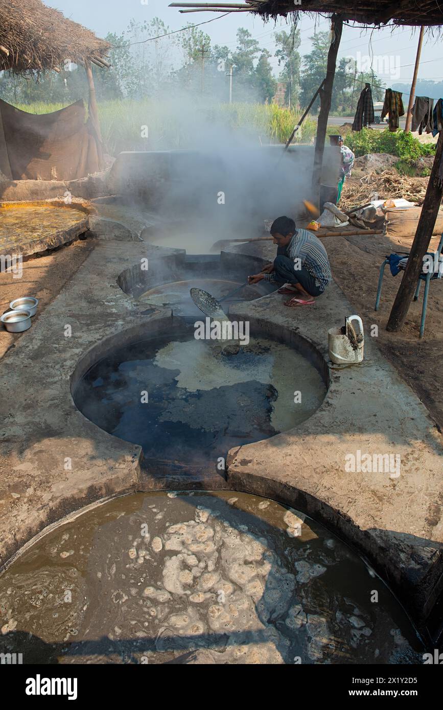 Obtaining sugar by boiling down the squeezed sugarcane juice, Bihar ...