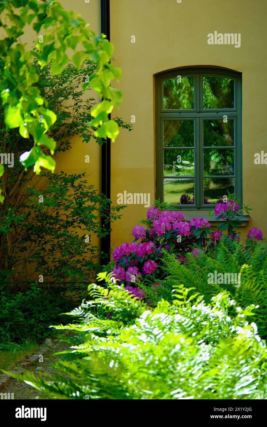 Yellow stone building exterior with a lattice window with reflections ...