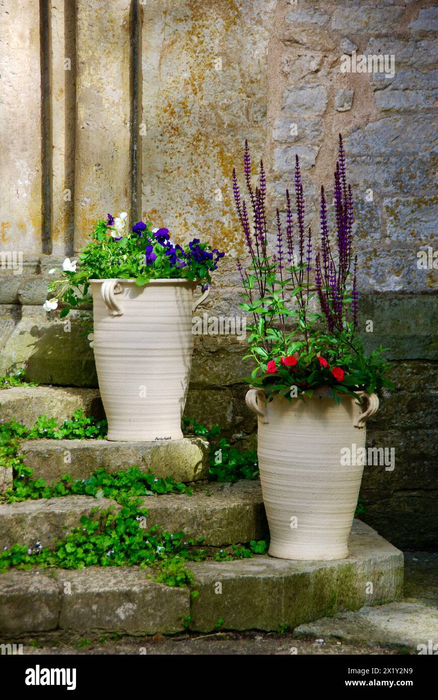 Staircase with two large clay pots with blooming plants in summer in ...