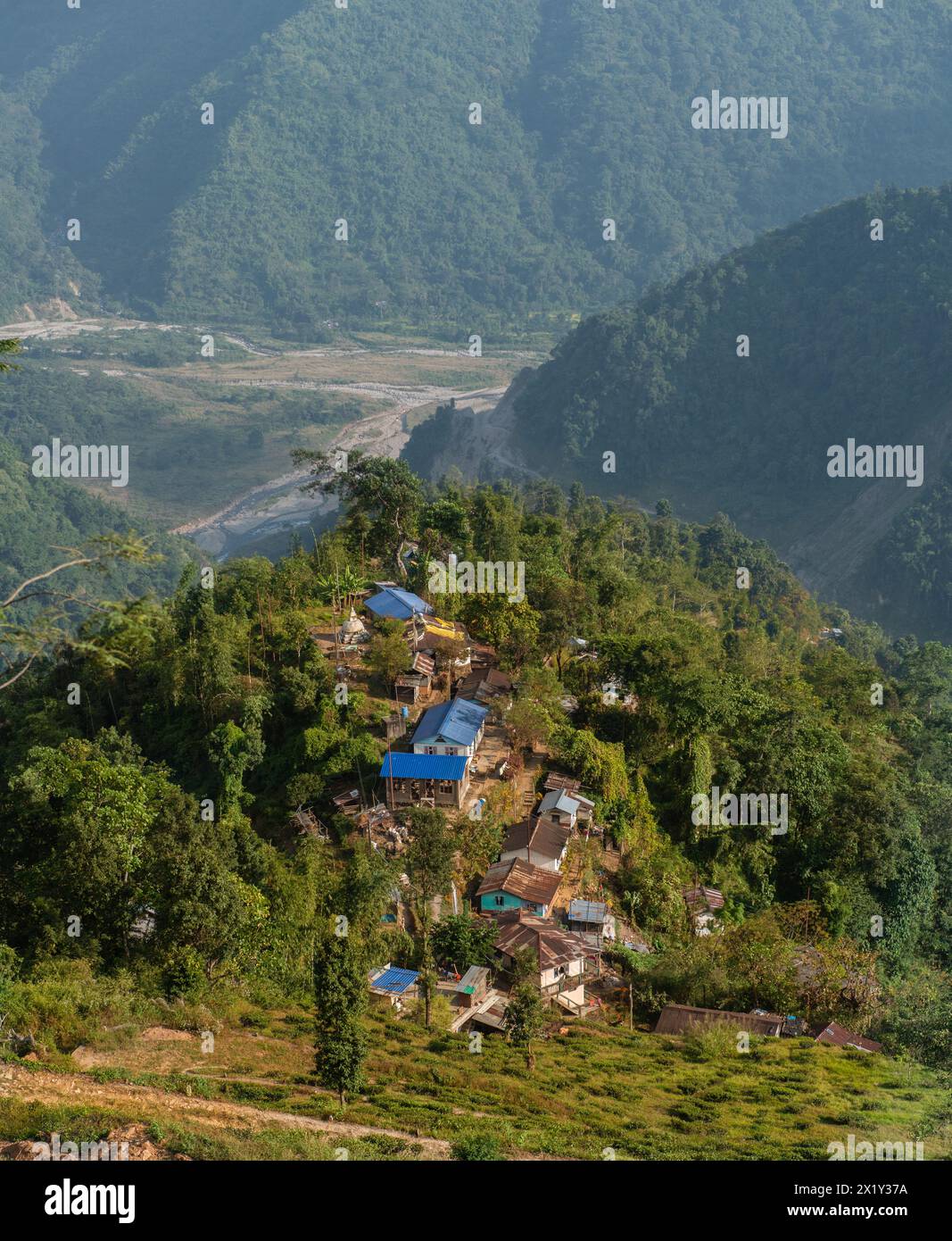 Plantation workers'39; quarters in a clearing above the Sashin Valley ...