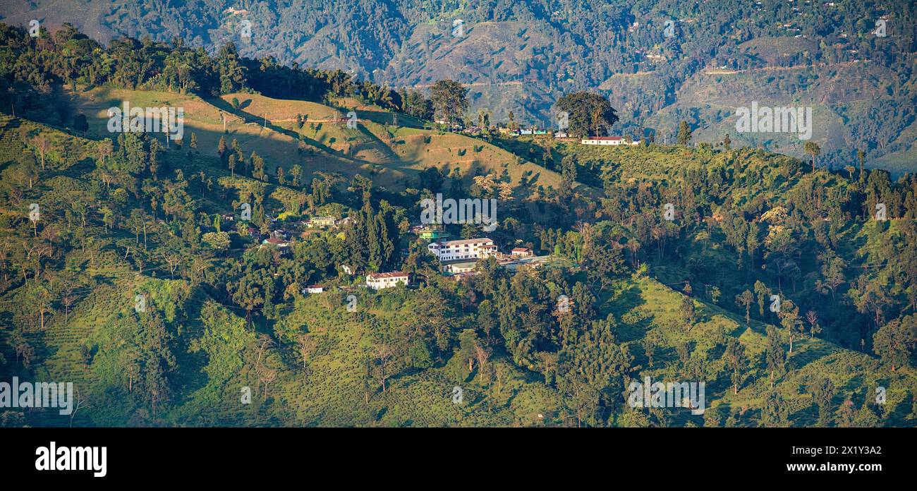 Tea plantation with factory buildings and fields near Darjeeling, West ...