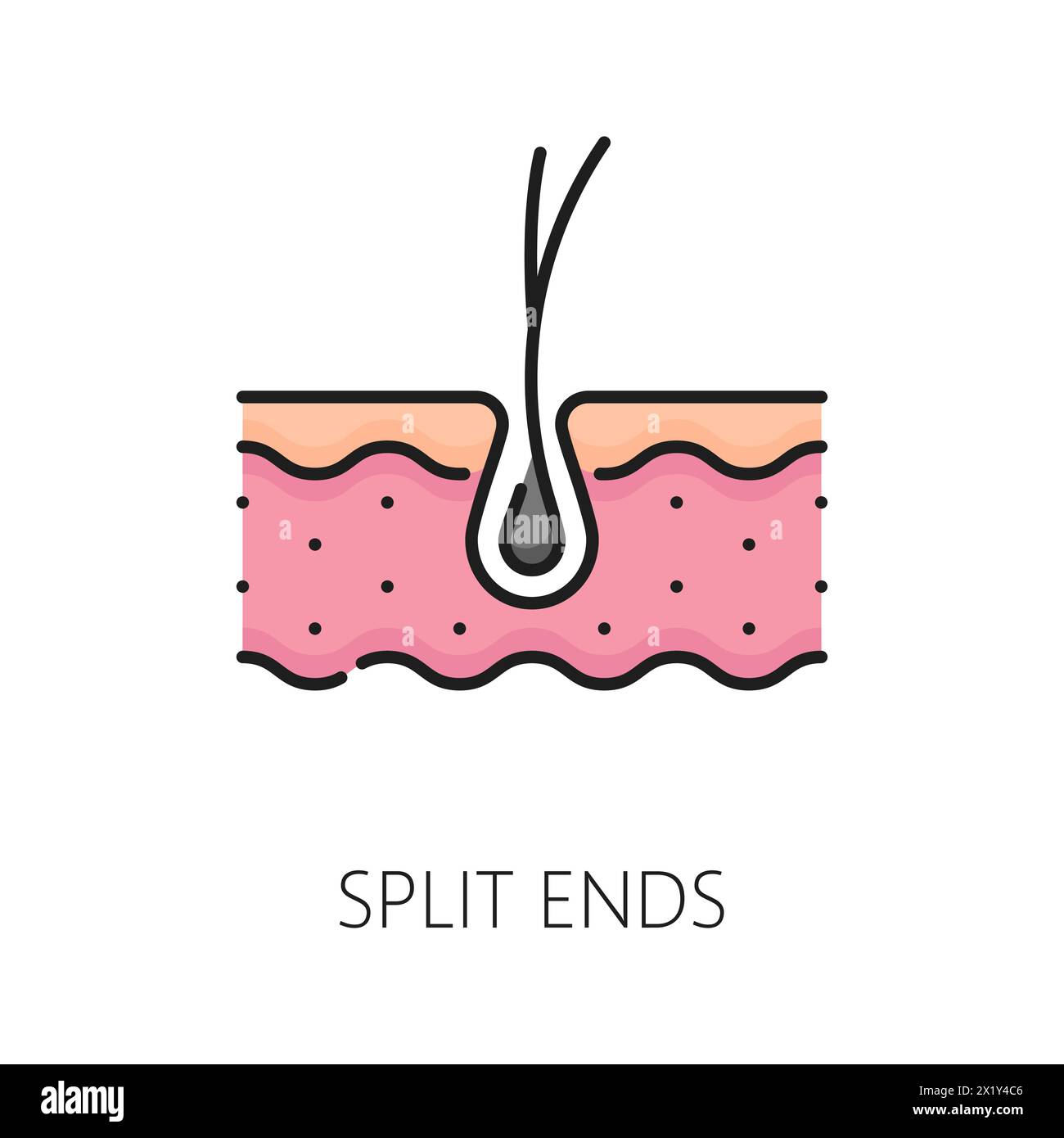 Skin restoration Stock Vector Images - Alamy