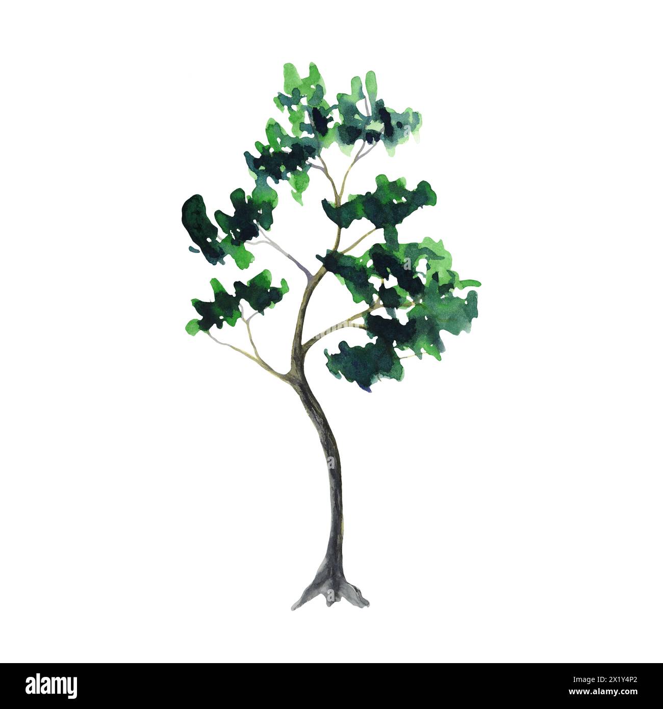 Watercolor tree, minimal style, side view. Hand drawn watercolour ...