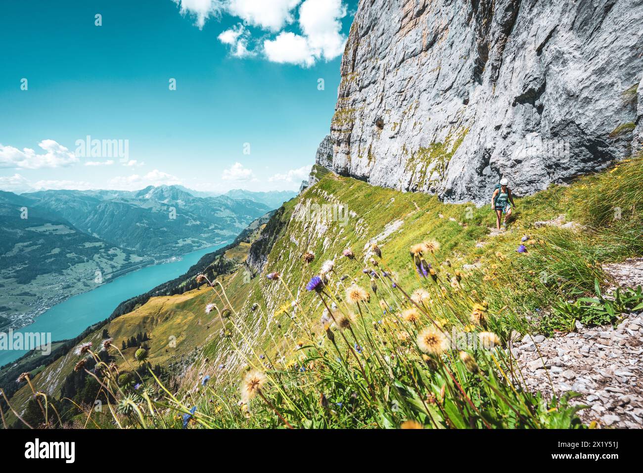 Description: Mountaineer hikes on flowery trail under steep rock wall ...