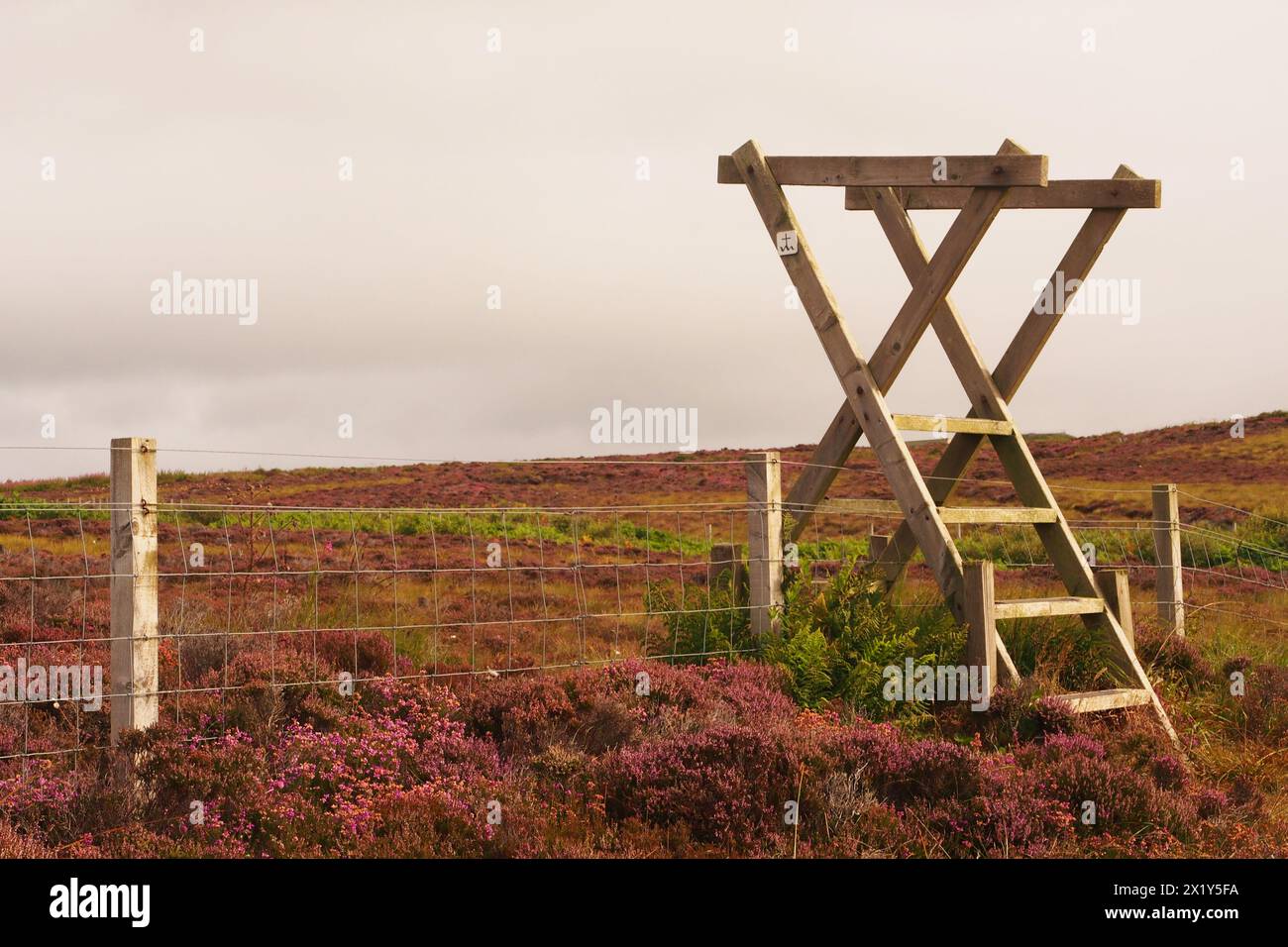 A large, tall, ladder style with handles, straddling a wire fence ...