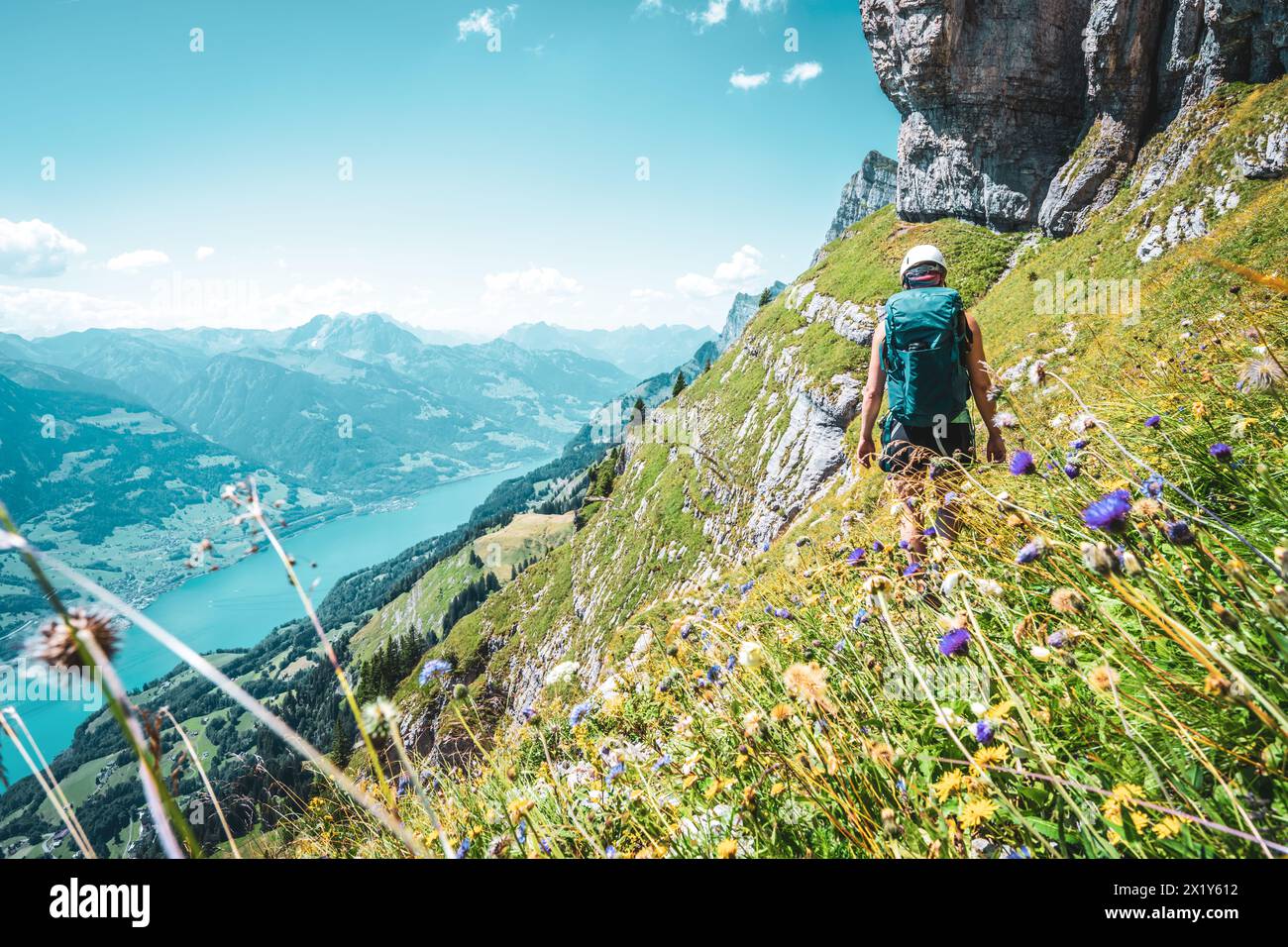 Description: Back view of mountaineer hiking on flowery trail next to ...