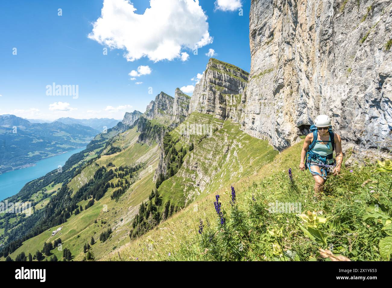 Description: Athletic woman hiking on flowery meadow below steep rock ...